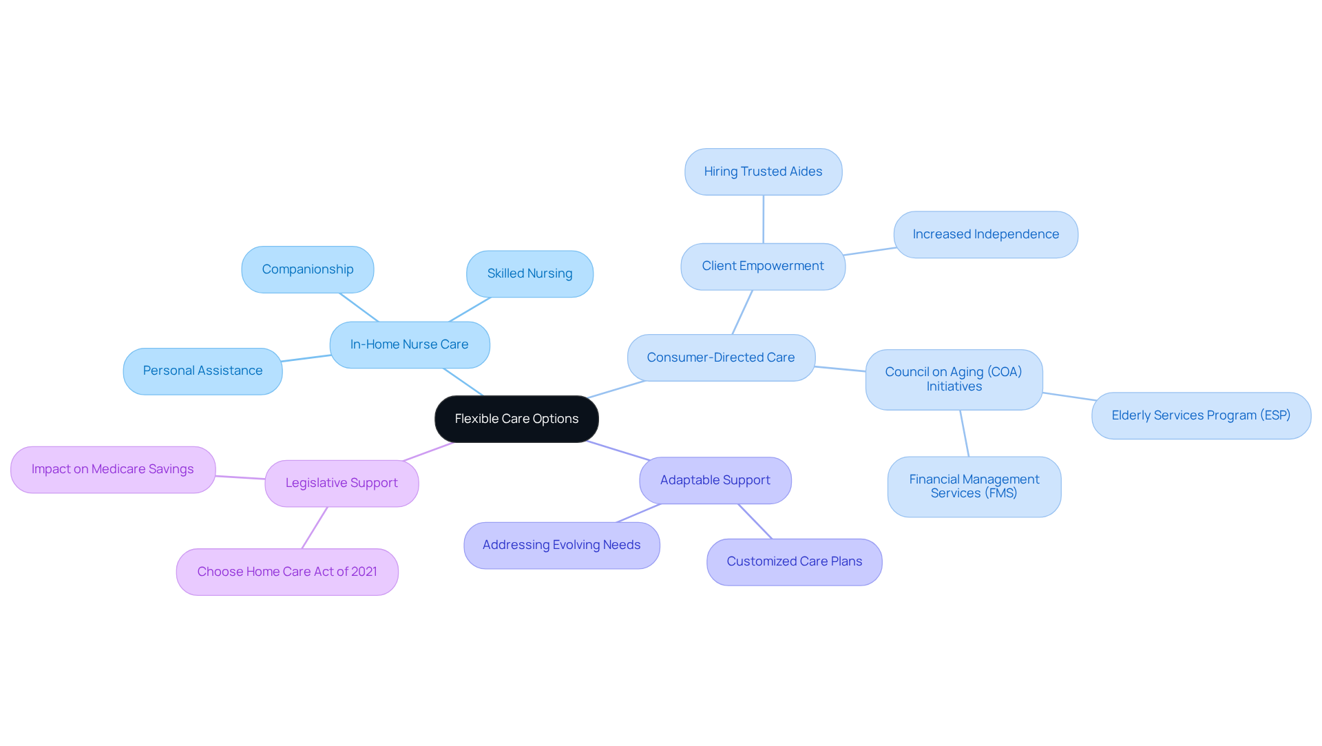 This mindmap starts with the main theme at the center, showing how various care options and models branch out, helping you understand the diverse ways care can be customized for seniors.