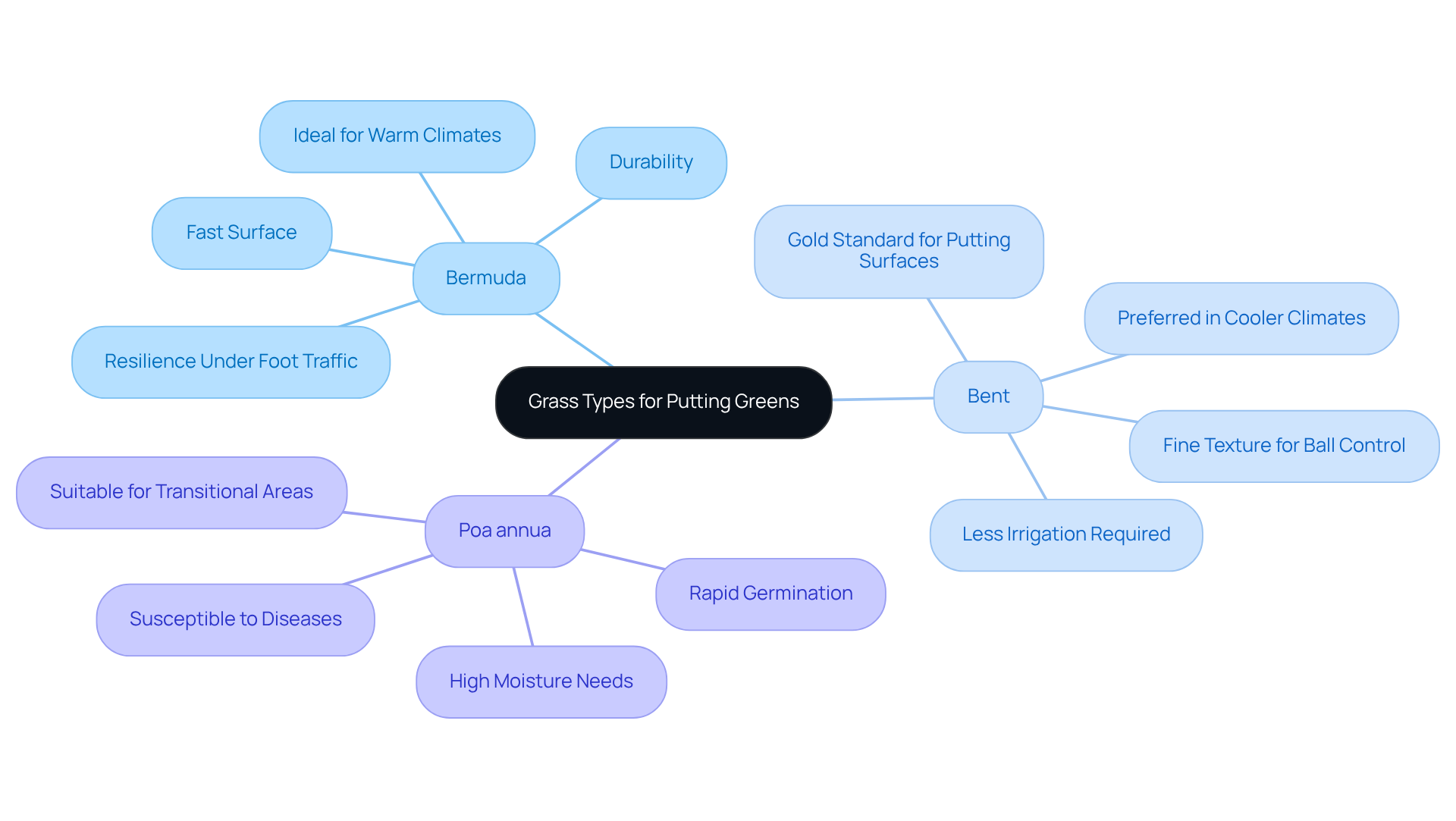 This mindmap shows the different types of grass used on putting greens. Each branch represents a type of grass, and the sub-branches explain their benefits and ideal growing conditions. Follow the branches to see how each type contributes to the overall performance and maintenance of golf courses.