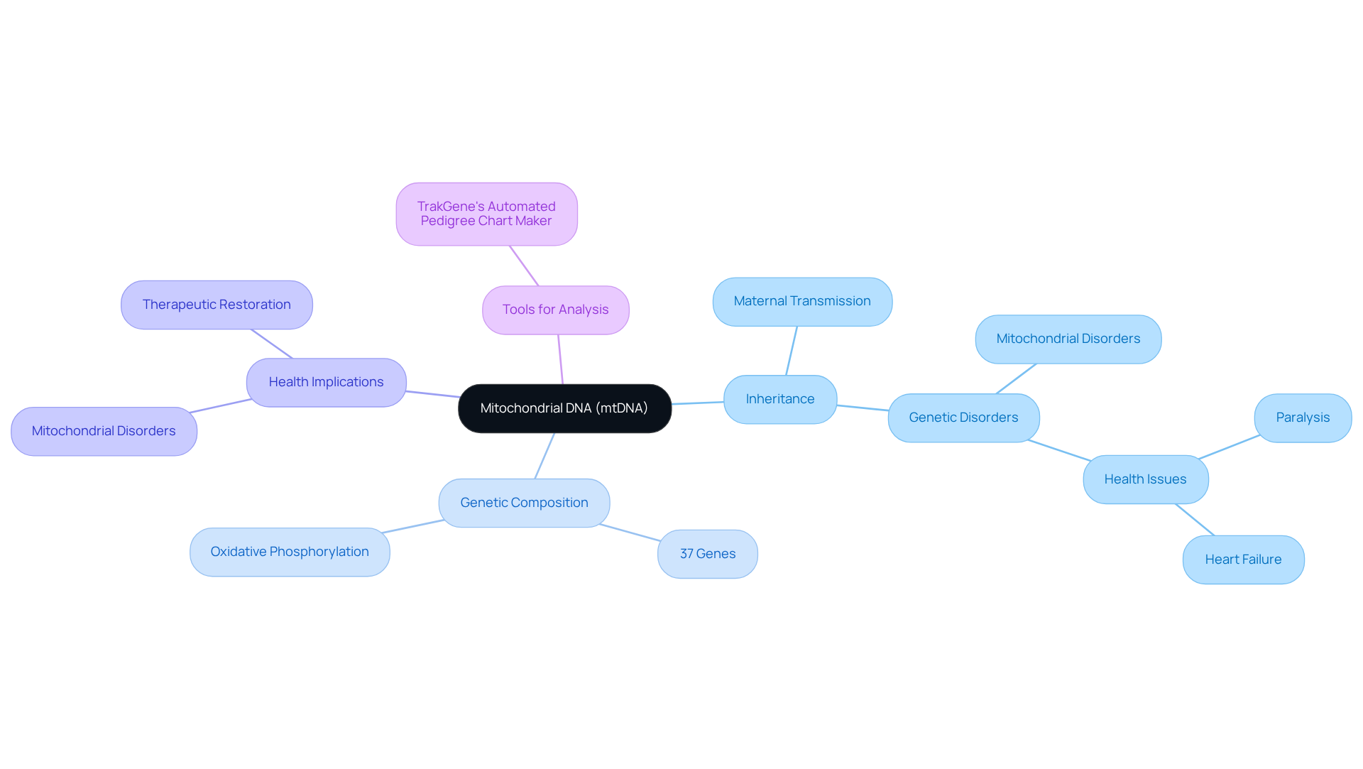 The central node represents mitochondrial DNA, with branches showing its inheritance, genetic structure, health impacts, and analysis tools. Each branch helps you explore different aspects of mtDNA and its significance.