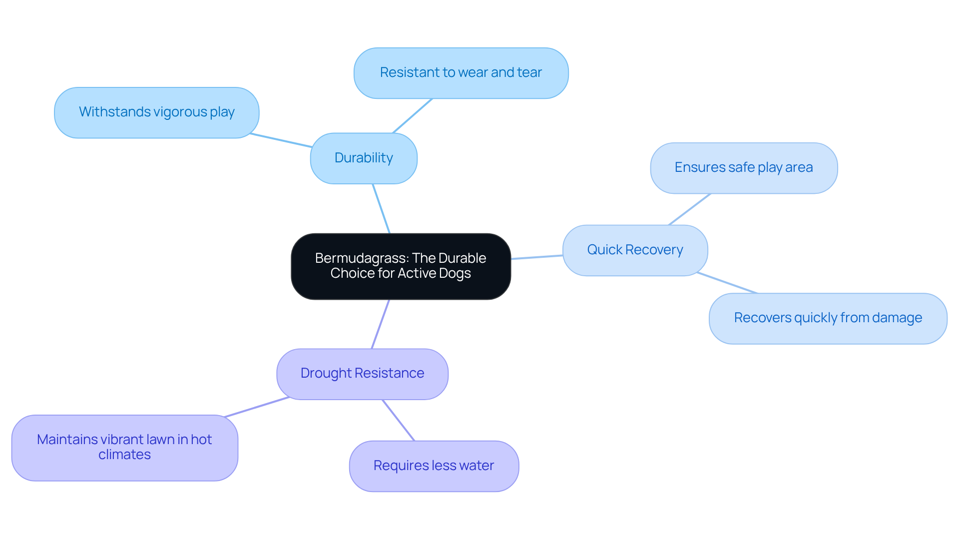 This mindmap shows why Bermudagrass is a great choice for dog runs. Start at the center with the grass type, then follow the branches to see its key benefits like durability and drought resistance, along with details about each benefit. This mindmap shows why Bermudagrass is a great choice for dog runs. Start at the center with the grass type, then follow the branches to see its key benefits like durability and drought resistance, along with details about each benefit.