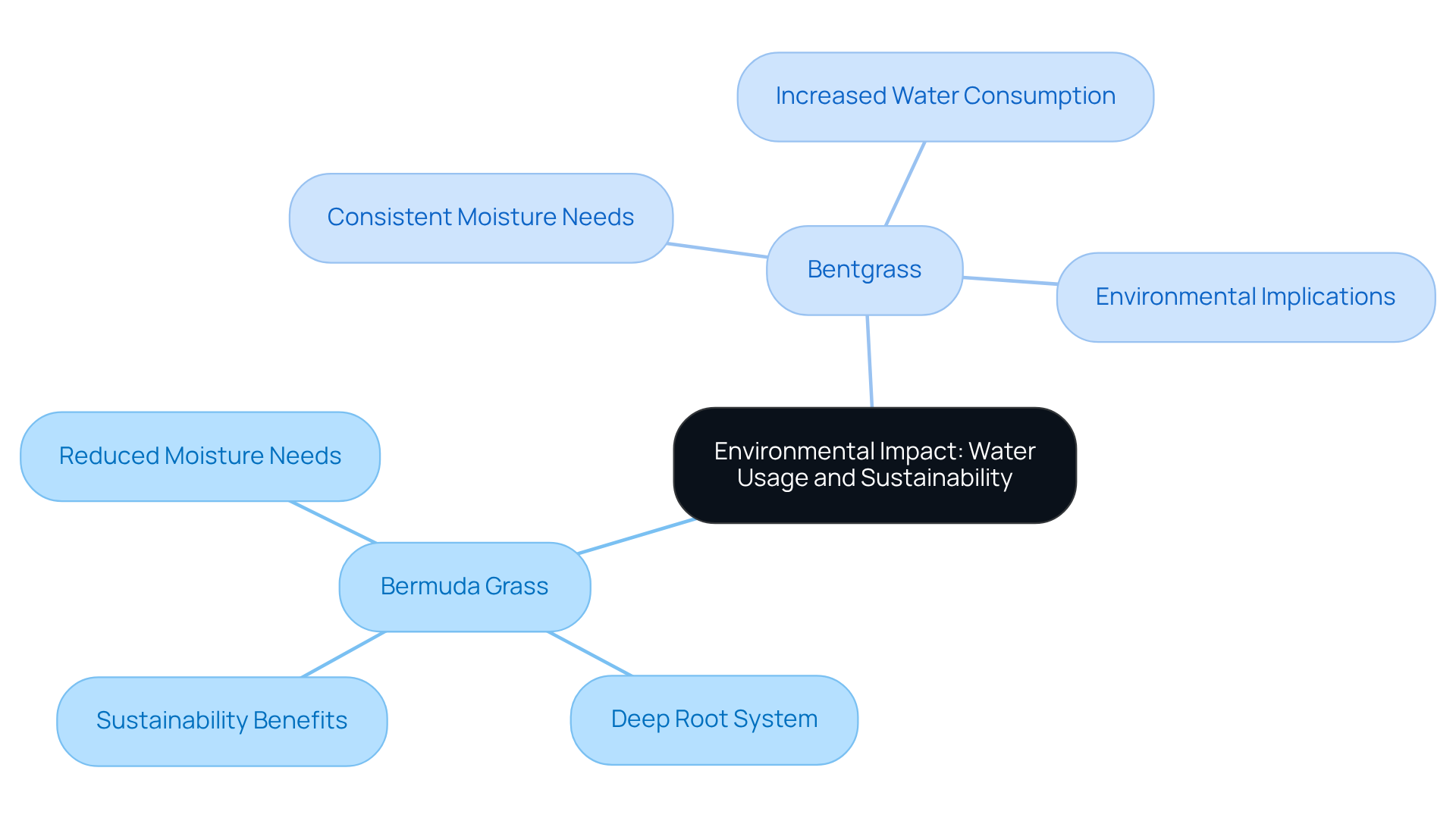 The central node represents the overall theme, while the branches show how each grass type relates to water usage and sustainability. Follow the branches to understand the advantages and disadvantages of each option.