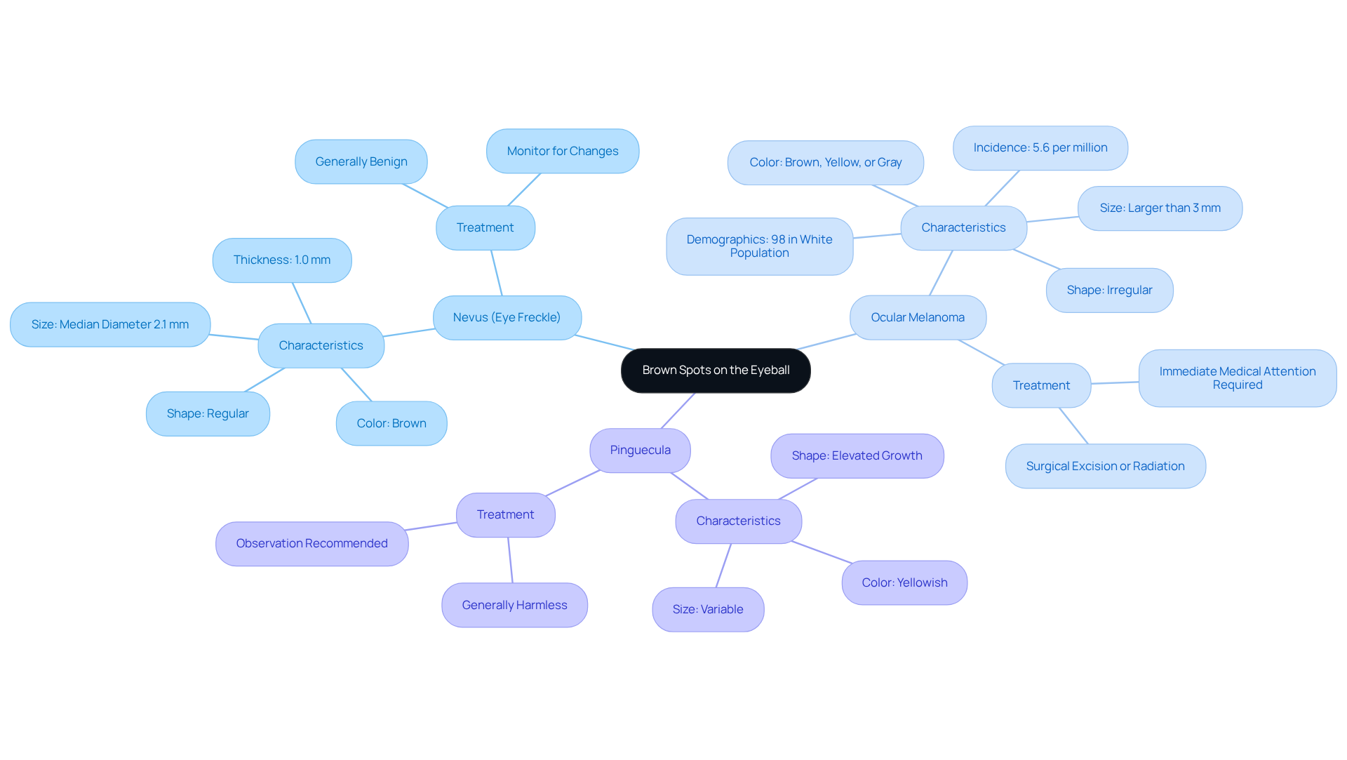 The central node represents the main topic of brown spots, while the branches show different types and their characteristics. Each color-coded branch helps you quickly identify the type of brown spot and its features. The central node represents the main topic of brown spots, while the branches show different types and their characteristics. Each color-coded branch helps you quickly identify the type of brown spot and its features.