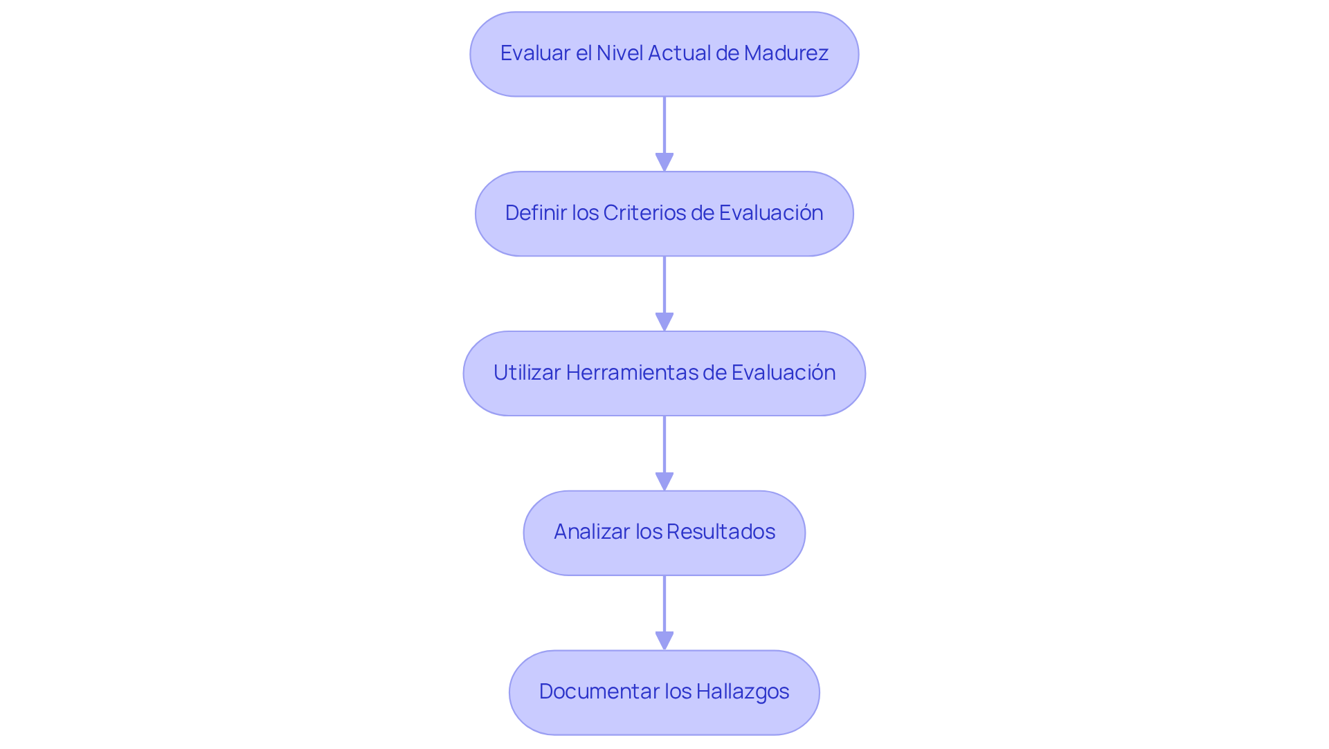 Cada cuadro representa un paso en el proceso de evaluación. Sigue las flechas para ver cómo cada etapa se conecta con la siguiente, desde definir criterios hasta documentar los hallazgos.