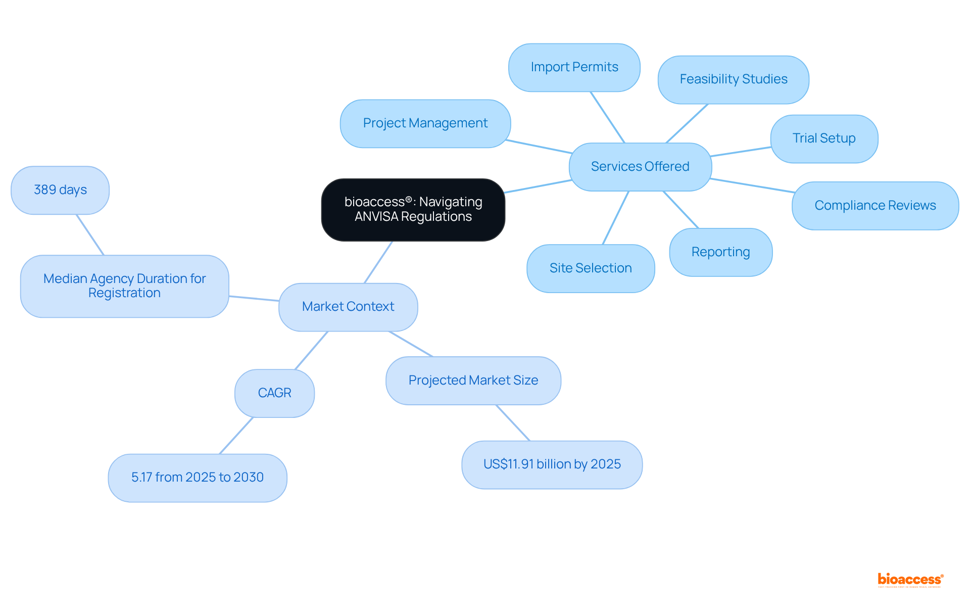 The center node represents the main theme, while the branches illustrate the services offered and the market context. Each service is a step in the holistic approach to regulatory navigation.