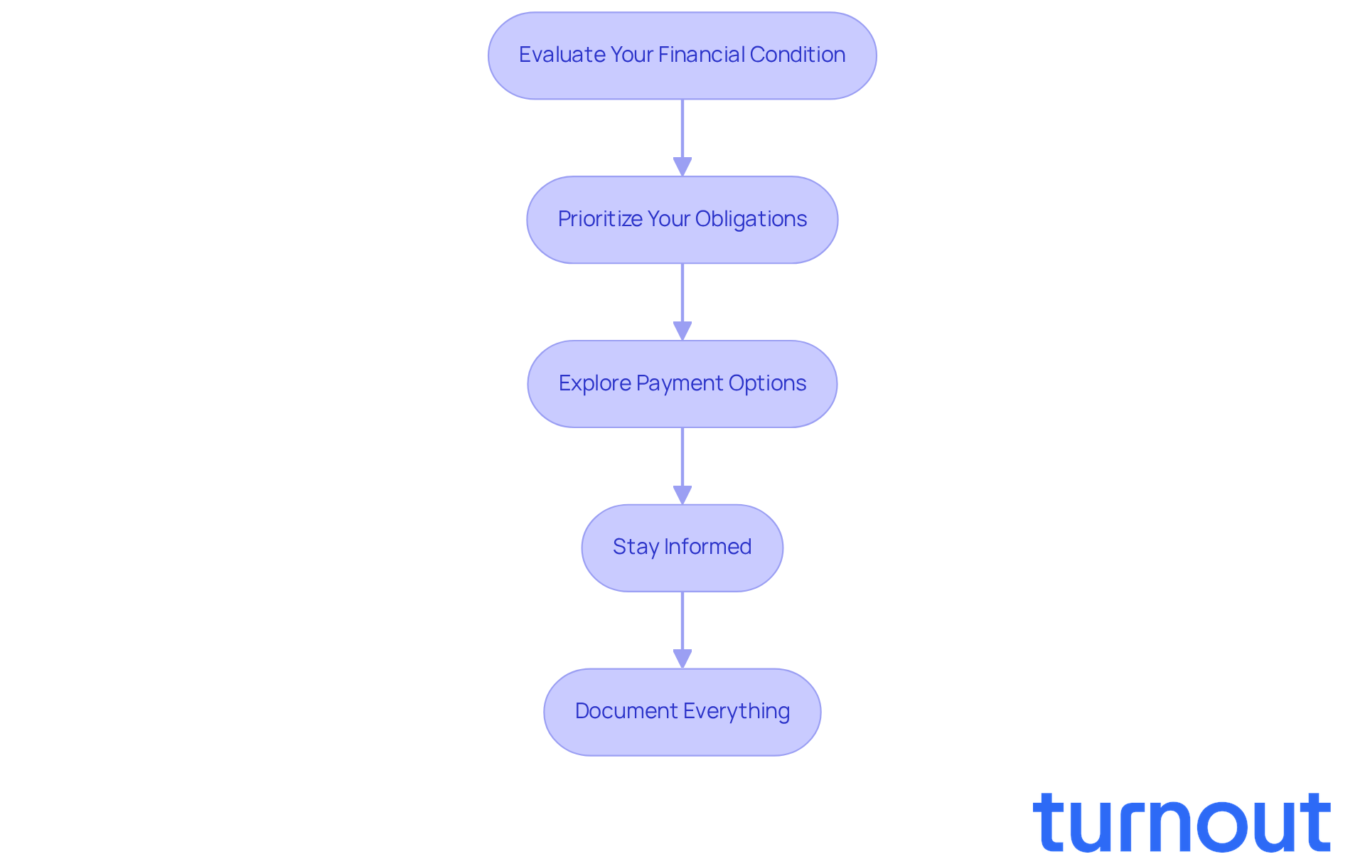 Each box represents a step you can take to manage your tax debt. Follow the arrows to see the order of actions that can help you navigate your financial situation. Each box represents a step you can take to manage your tax debt. Follow the arrows to see the order of actions that can help you navigate your financial situation.