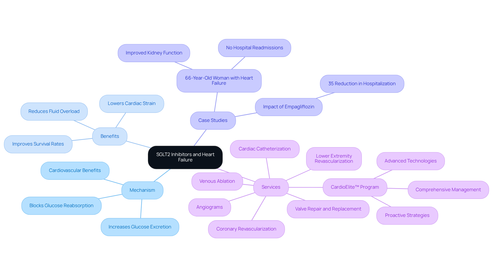 This mindmap illustrates how SGLT2 inhibitors work and their significance in heart health. Start at the center with the main topic, then explore the branches to see how these medications function, their benefits, real-life impacts, and the services available to support heart health.