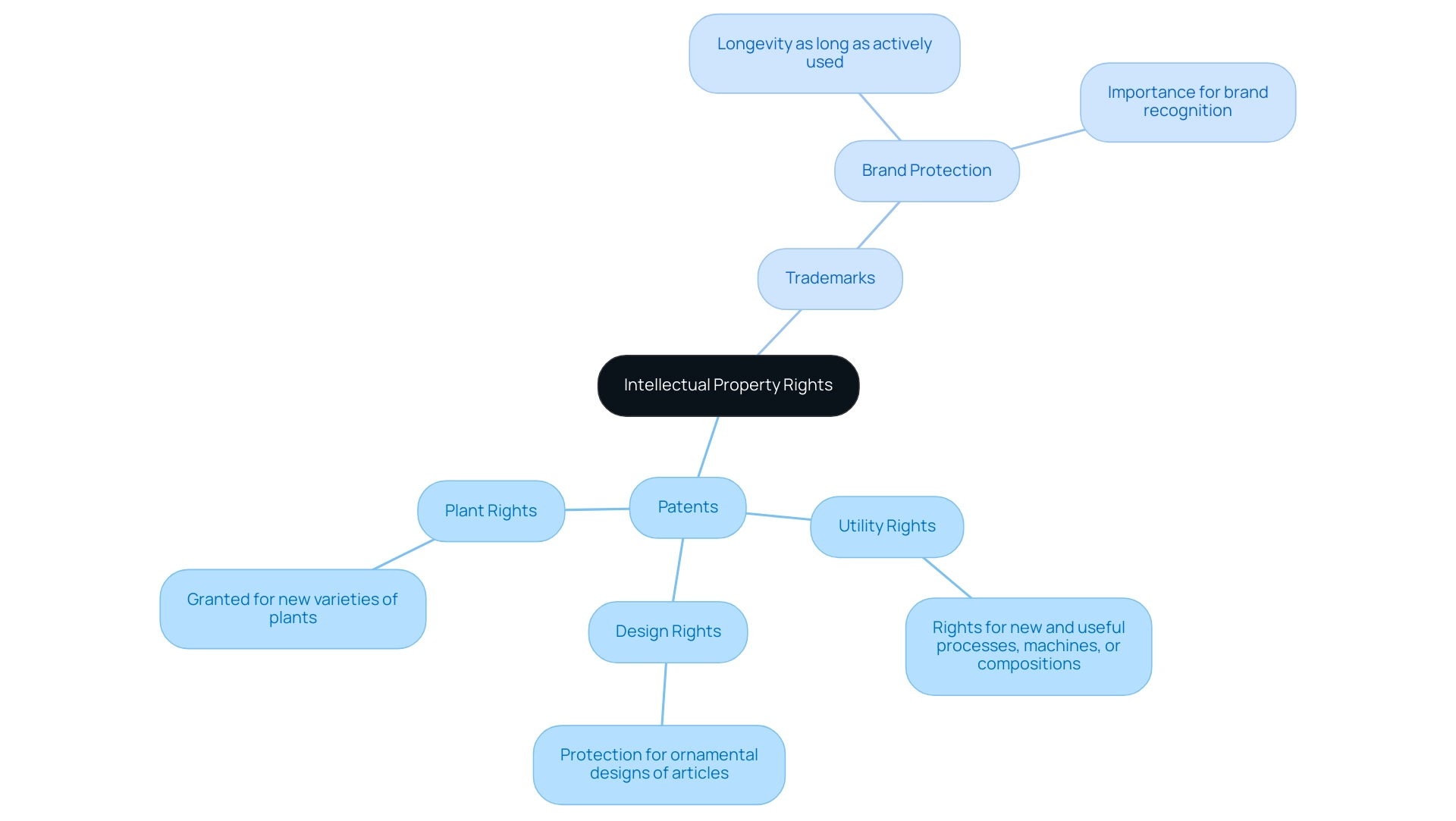 The central node represents intellectual property rights; branches differentiate between patents and trademarks, with colors indicating categories (e.g., blue for patents, green for trademarks).