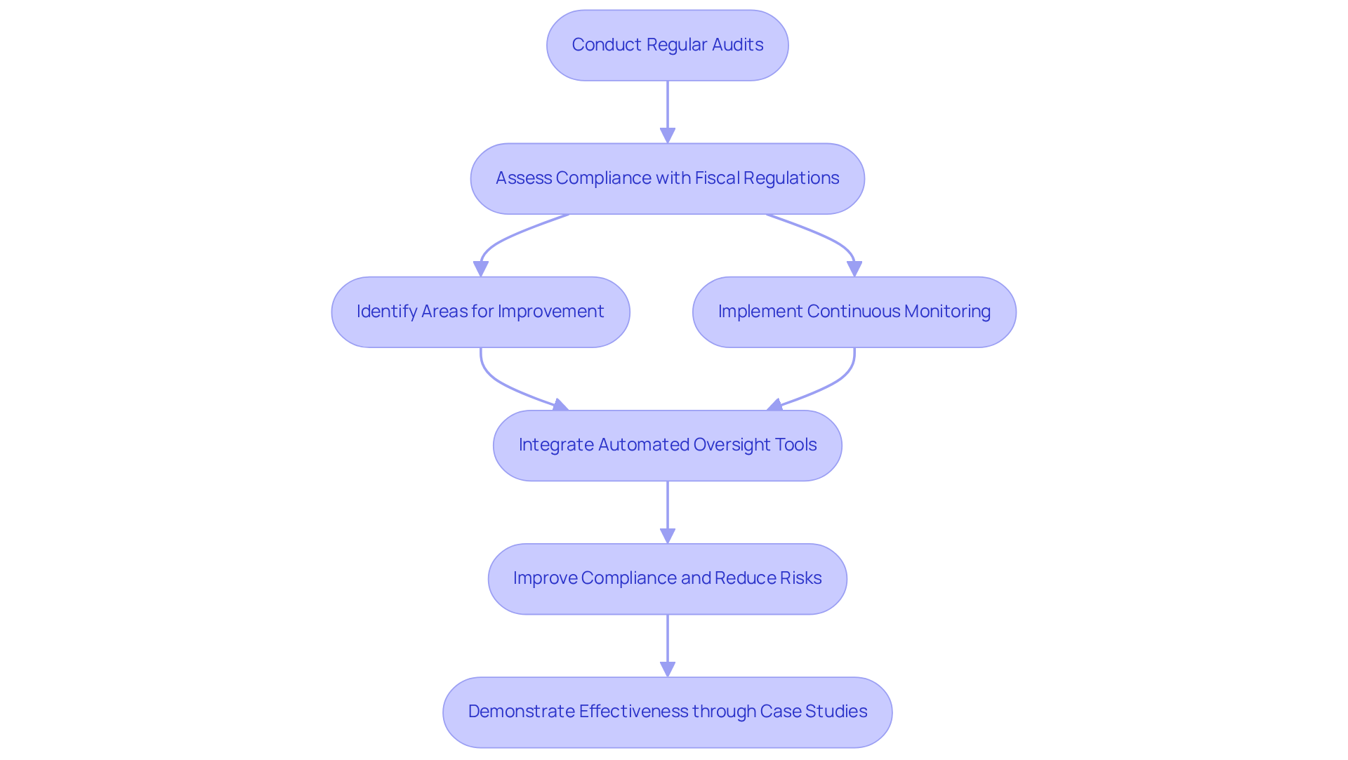 Follow the arrows to see how each step in the auditing and monitoring process leads to better compliance and efficiency. Each box represents a key action or outcome in the process.
