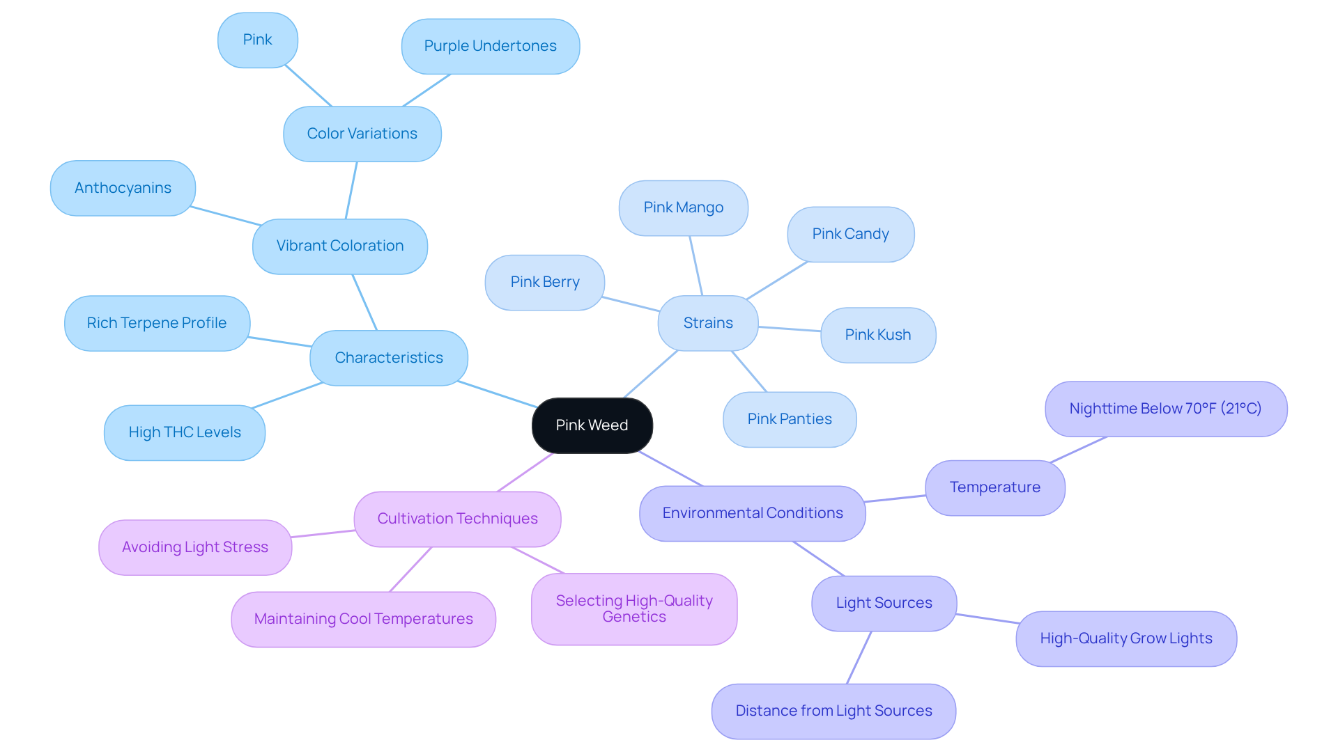 The central idea is Pink Weed, with branches showing different characteristics, strains, and how environmental factors influence growth. Each color represents a different category, making it easy to follow and understand the relationships. The central idea is Pink Weed, with branches showing different characteristics, strains, and how environmental factors influence growth. Each color represents a different category, making it easy to follow and understand the relationships.