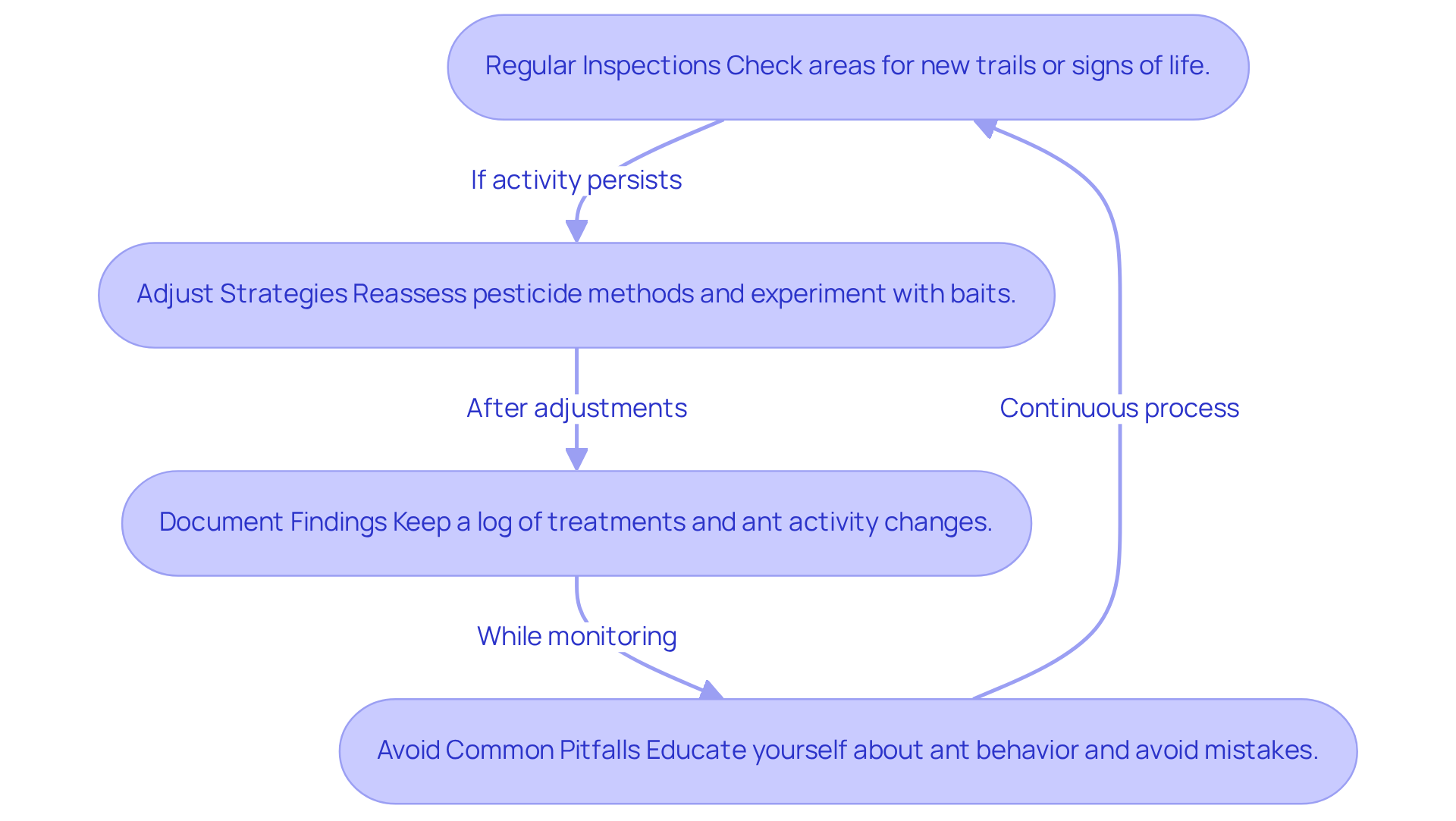Each box represents a step in managing ant infestations. Follow the arrows to see how to effectively monitor and adjust your strategies for better results.