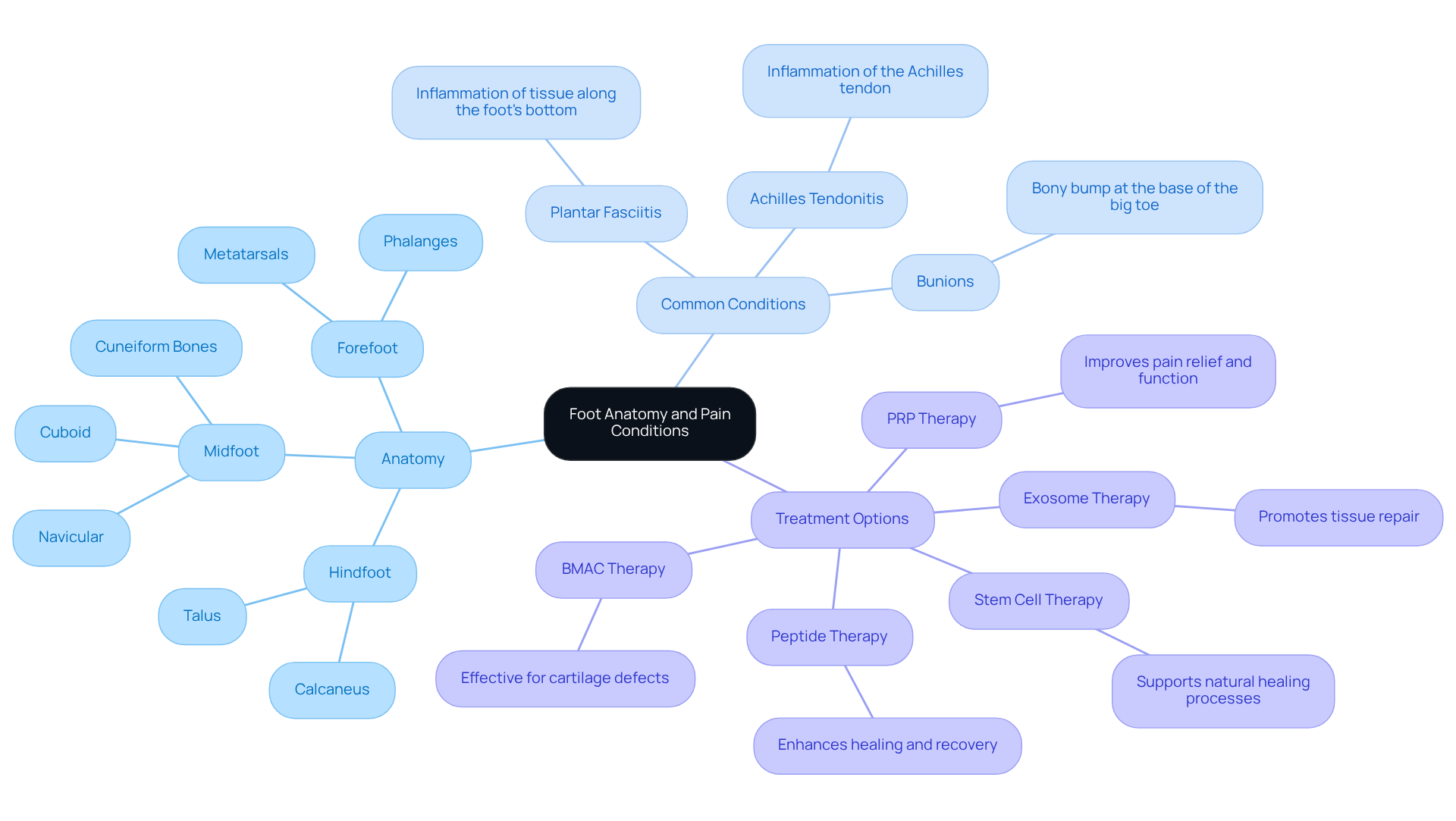 This mindmap starts with the central theme of foot anatomy and pain conditions. Each branch represents a key area: the anatomy of the foot, common pain conditions, and treatment options. Follow the branches to explore how these elements are interconnected, helping you understand the complexities of foot health.