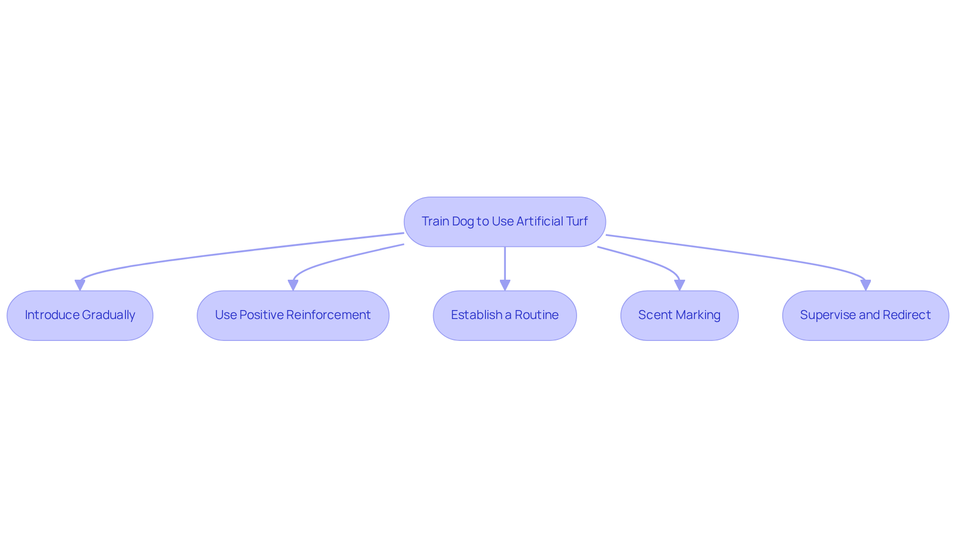 Follow the arrows to see the steps you can take to train your dog. Each box represents a strategy that helps your dog learn to use the artificial turf for potty breaks.