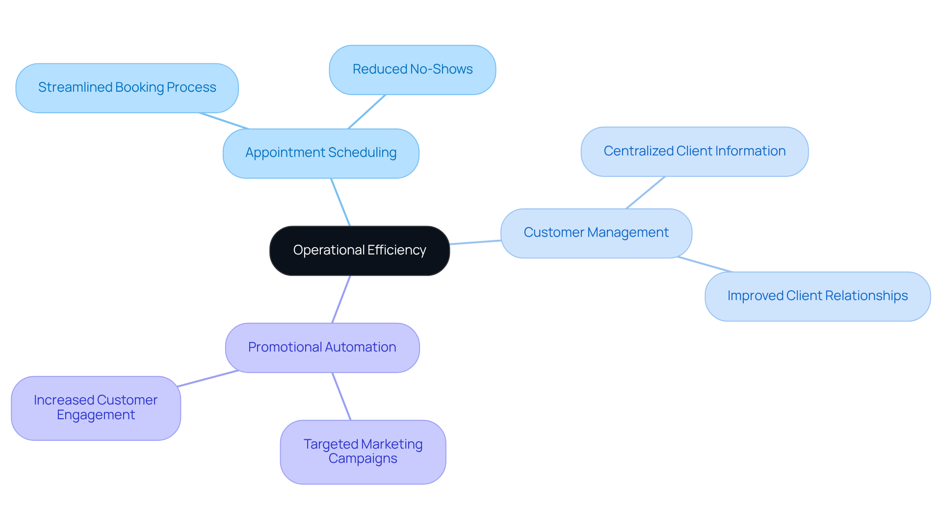 The center shows the main goal of improving efficiency, while the branches represent the key functions that help achieve this. Each function plays a role in streamlining processes for beauty professionals.