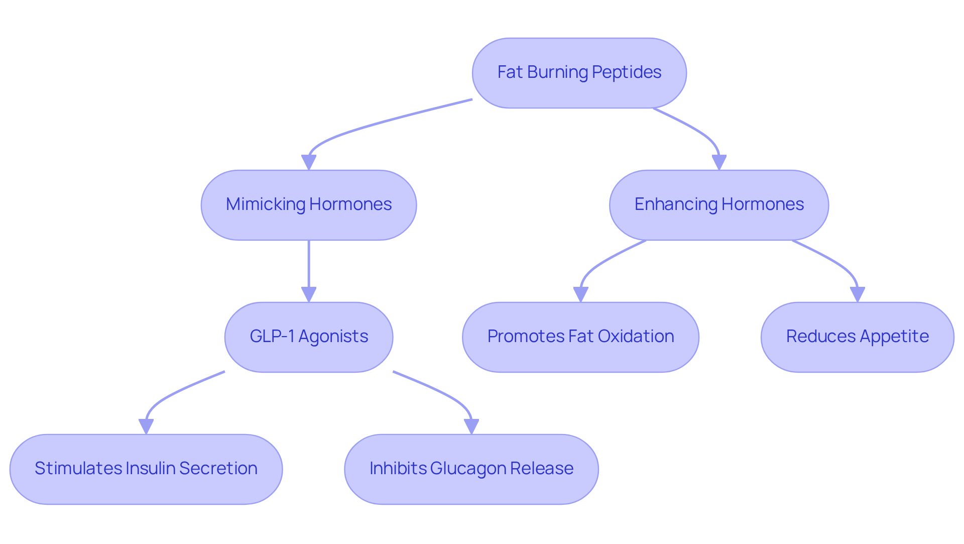 This flowchart shows how fat-burning peptides work in the body. Follow the arrows to see how they mimic or enhance hormones, leading to reduced appetite and increased fat burning.
