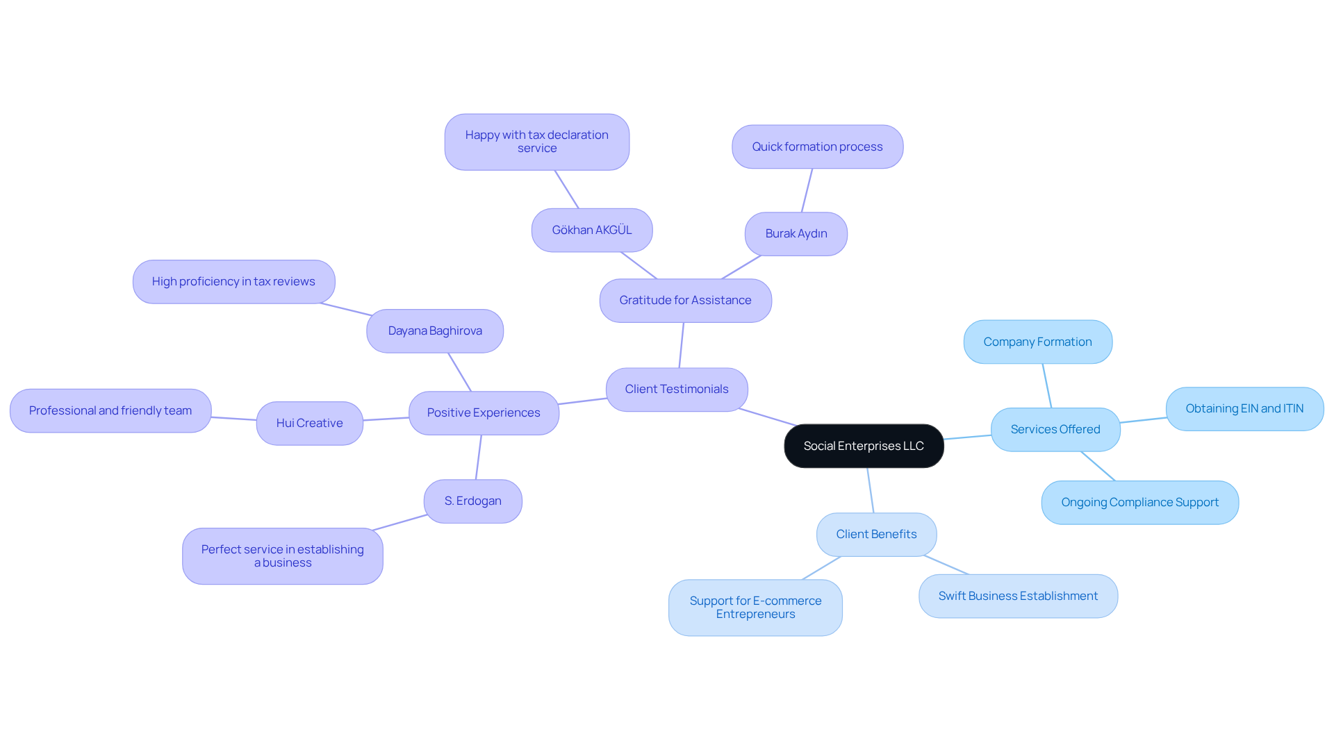 The center represents Social Enterprises LLC, and the branches show the services they provide and the benefits to clients. Each color-coded branch helps you see how everything connects. The center represents Social Enterprises LLC, and the branches show the services they provide and the benefits to clients. Each color-coded branch helps you see how everything connects.