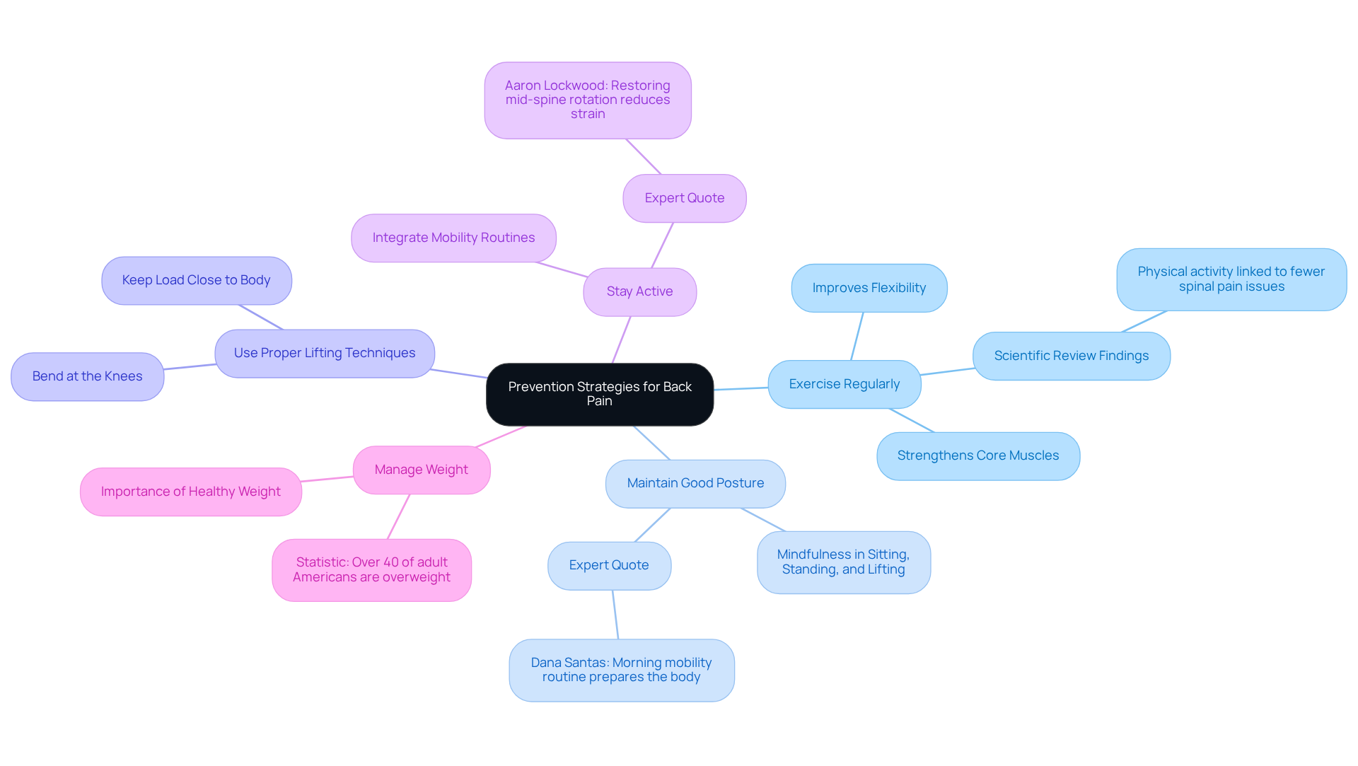 The center represents the main goal of preventing back pain, and each branch shows a different strategy. Follow the branches to see specific tips and insights related to each strategy. The center represents the main goal of preventing back pain, and each branch shows a different strategy. Follow the branches to see specific tips and insights related to each strategy.