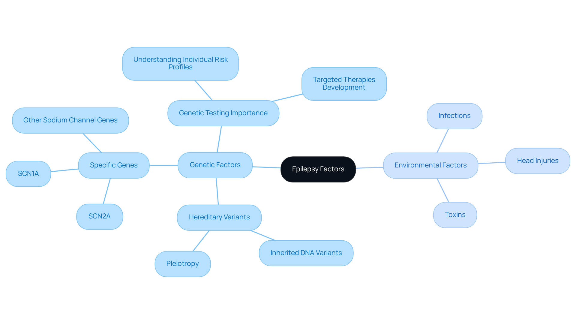The central node represents epilepsy, with branches showing the two main influences: genetics and environment. Each sub-branch details specific aspects, helping you see how they contribute to understanding seizure risks.