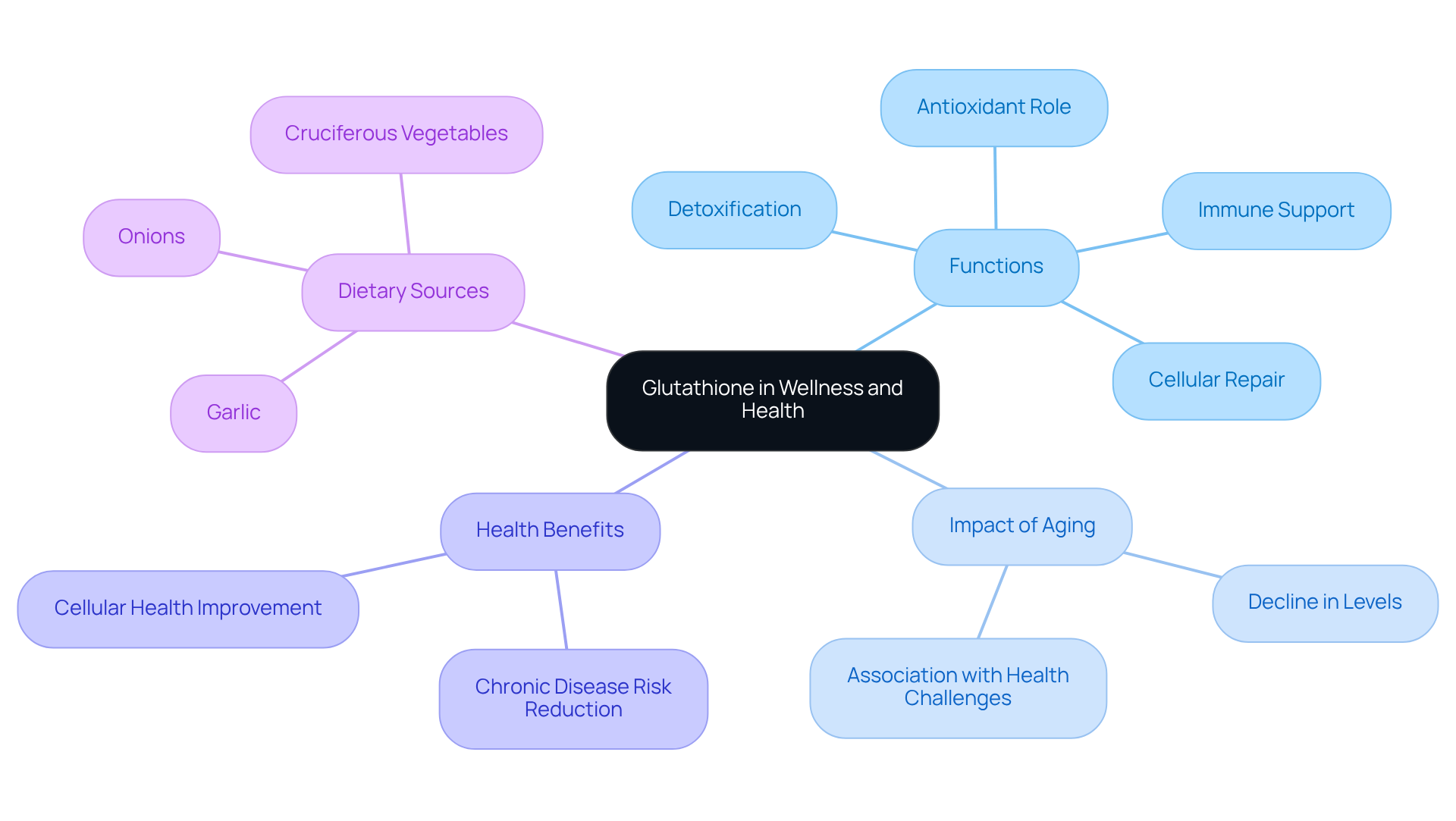 This mindmap illustrates how glutathione functions in our bodies and its importance for health. Each branch represents a different aspect of glutathione, showing how it helps us stay healthy, especially as we age. Follow the branches to see how it supports our immune system, detoxifies our bodies, and what foods can help boost its levels.
