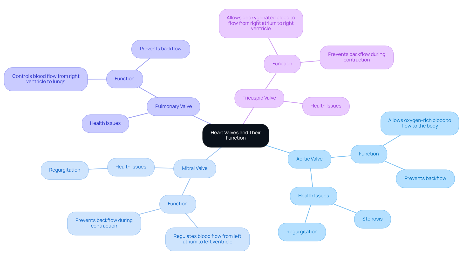 This mindmap starts with the main topic of heart valves at the center. Each branch represents a different valve, showing its role in blood flow. The sub-branches explain how each valve works and highlight potential health issues. This visual helps you see how everything connects, making it easier to grasp the importance of heart valves in maintaining good health.