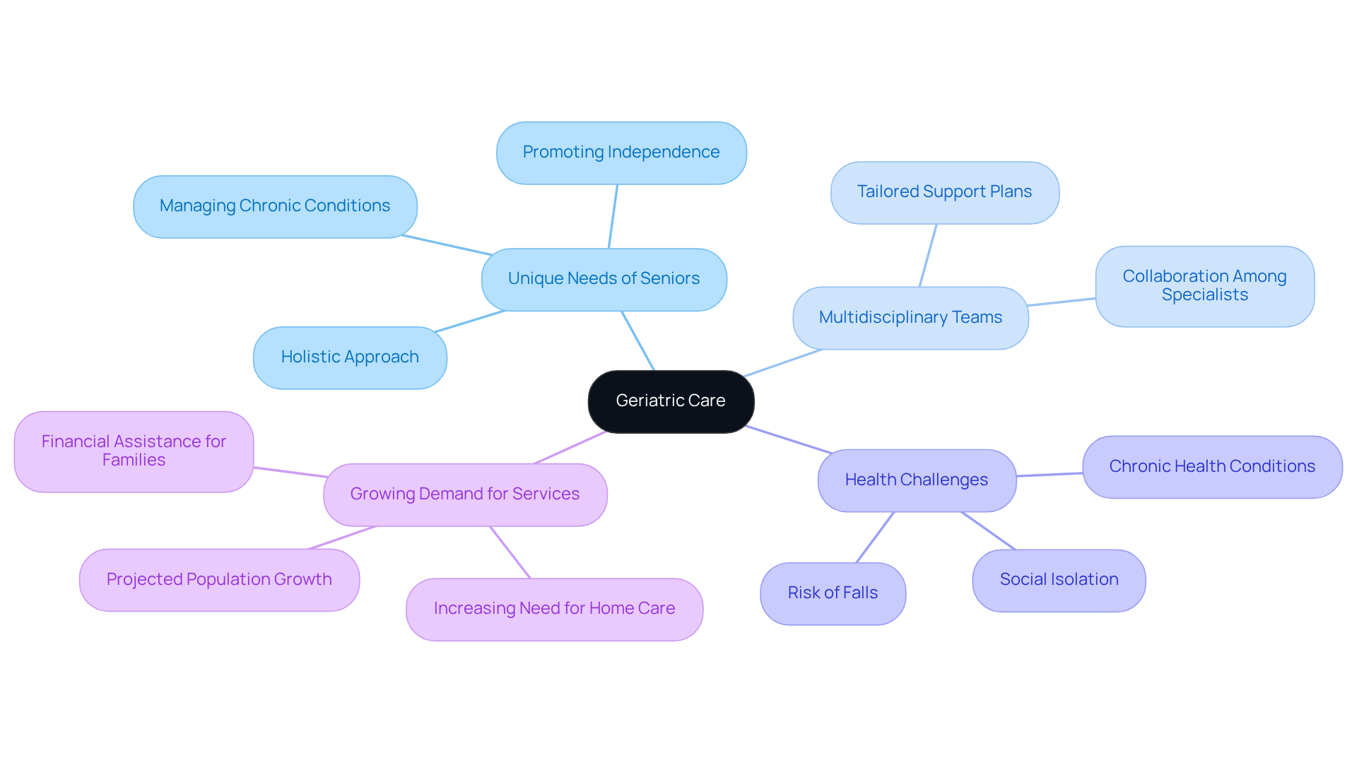 The center represents geriatric care, and the branches show its various components. Each branch highlights a critical aspect of elderly support, helping you see how they all connect and contribute to the overall quality of life for seniors.