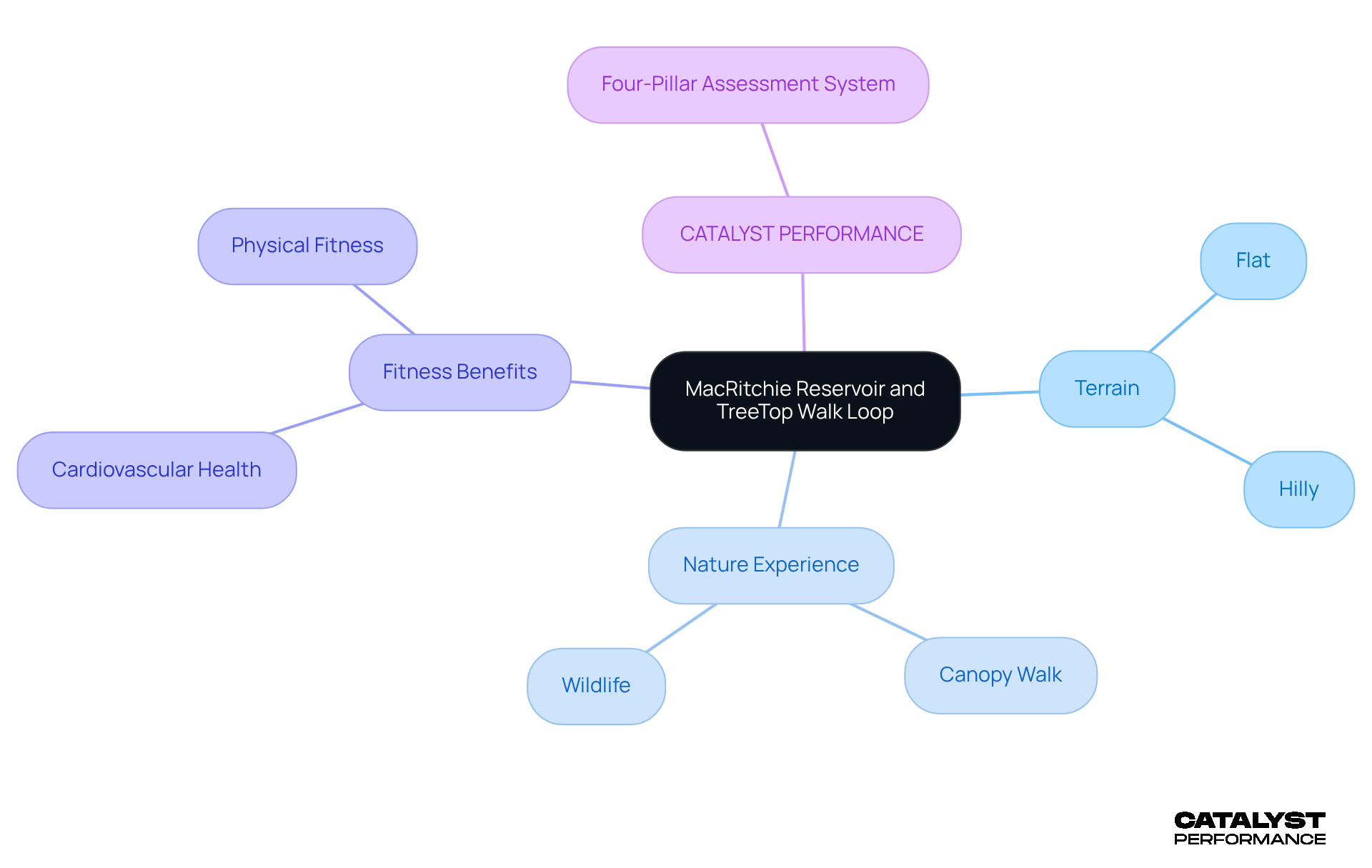 The central node represents the trail, while the branches show different aspects of the experience. Each color-coded branch highlights a unique feature, making it easy to understand how they all contribute to your fitness journey.
