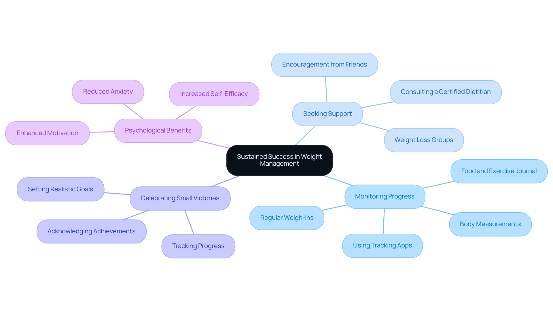 The center represents the overall goal of sustained success. Each branch shows a key area to focus on, with further details that explain how to achieve success in that area.