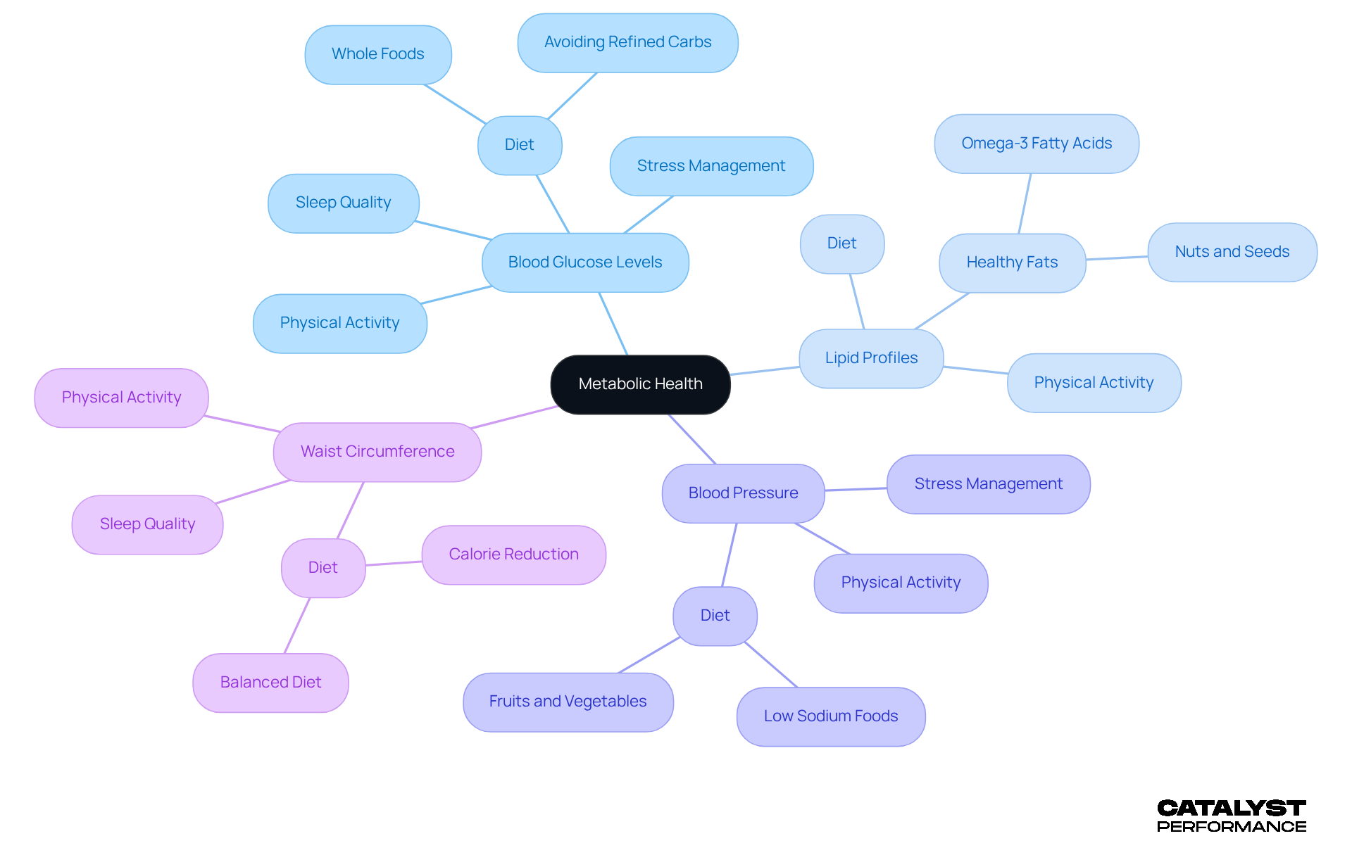The center represents metabolic health, with branches showing important health markers and their lifestyle influences. Each branch helps you see how different factors contribute to overall health. The center represents metabolic health, with branches showing important health markers and their lifestyle influences. Each branch helps you see how different factors contribute to overall health.