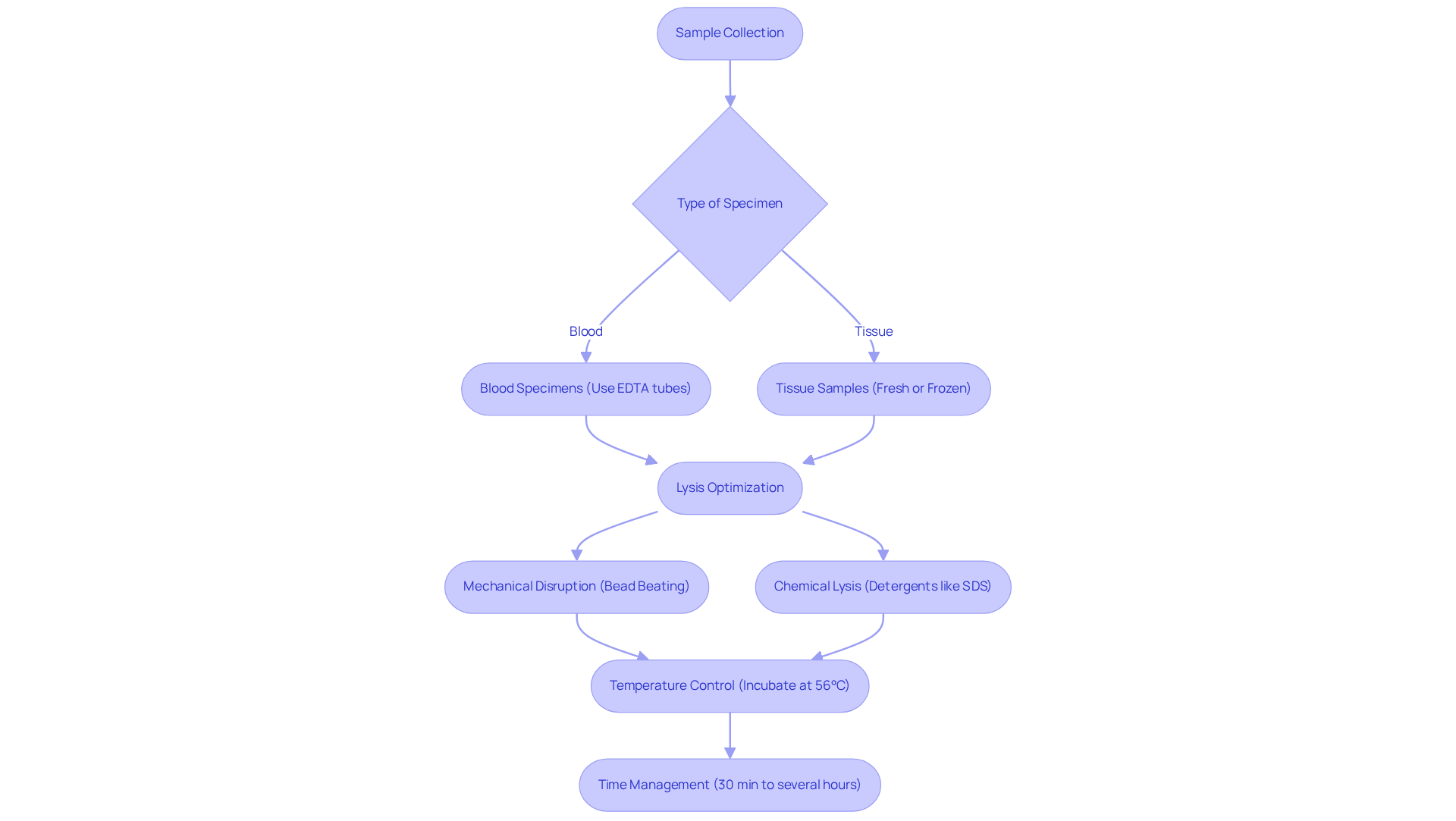 This flowchart guides you through the steps for preparing samples and optimizing lysis techniques. Each box represents a key step, and the arrows show the order in which to follow them. Pay attention to the notes for specific tips on each step!