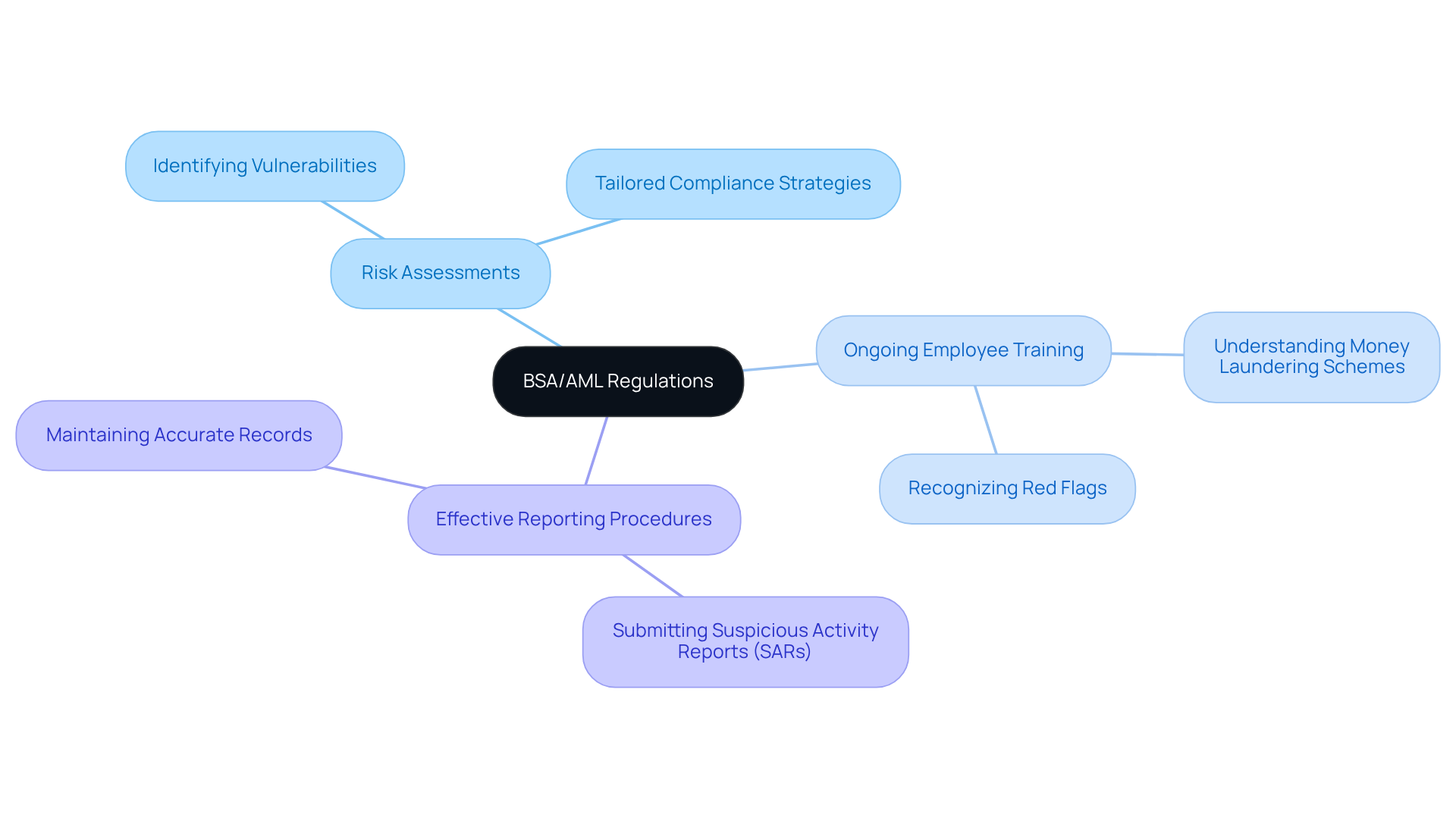 The central node represents the BSA/AML regulations, while the branches show the key components that organizations must implement. Each branch highlights an essential part of the compliance program, helping you understand how they contribute to the overall goal of preventing money laundering and maintaining economic integrity. The central node represents the BSA/AML regulations, while the branches show the key components that organizations must implement. Each branch highlights an essential part of the compliance program, helping you understand how they contribute to the overall goal of preventing money laundering and maintaining economic integrity.