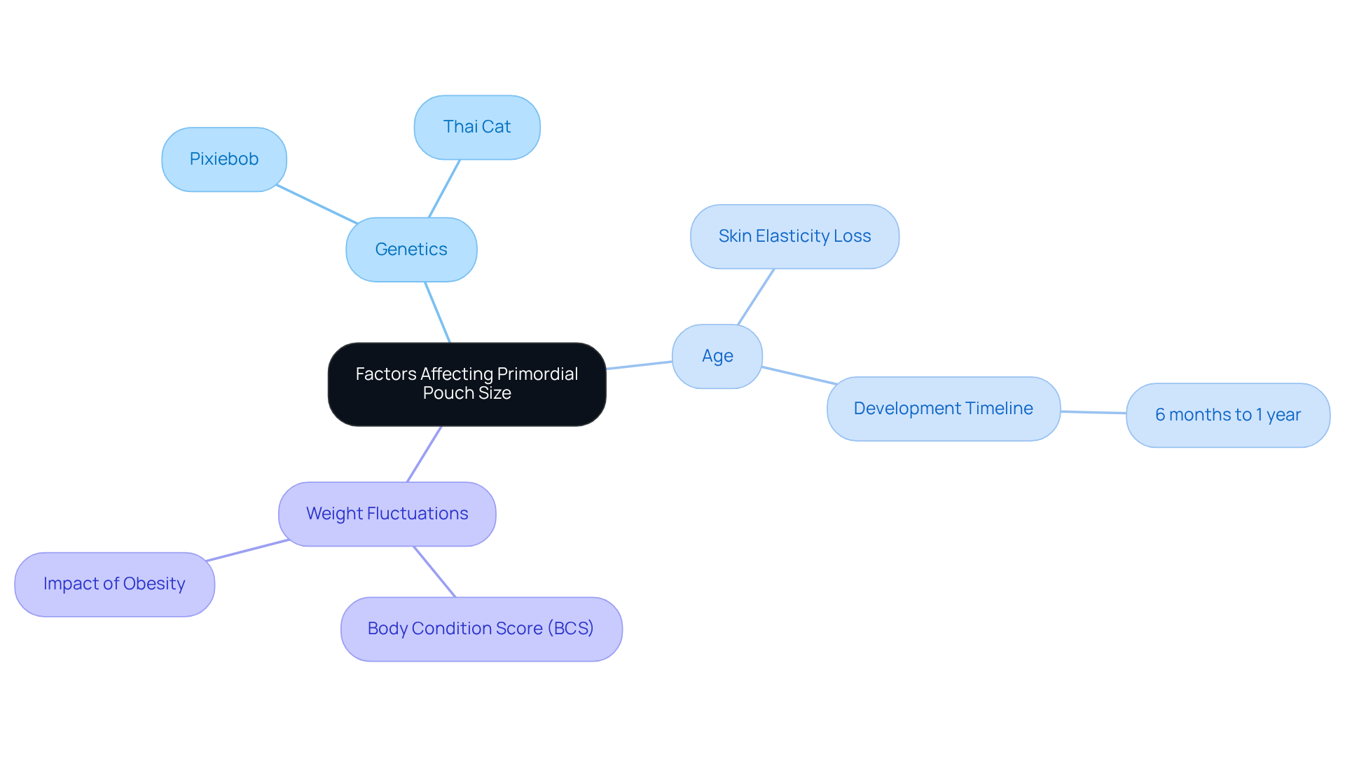 The central idea is the factors affecting the pouch's size, with branches showing specific influences like genetics and age. Explore each branch to understand how they contribute to the overall health of your cat. The central idea is the factors affecting the pouch's size, with branches showing specific influences like genetics and age. Explore each branch to understand how they contribute to the overall health of your cat.