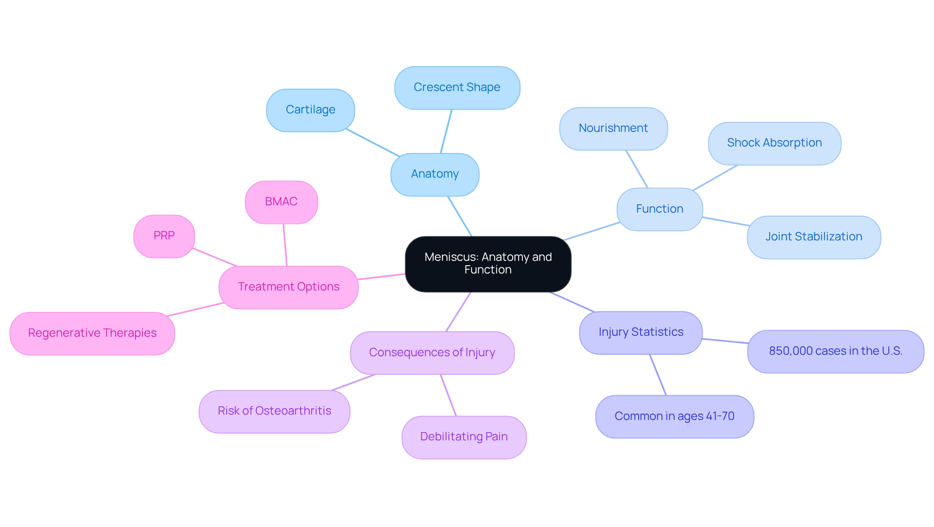 This mindmap starts with the meniscus at the center, branching out to show its anatomy, functions, injury statistics, consequences of injuries, and treatment options. Each branch helps you see how these ideas are connected, making it easier to grasp the importance of the meniscus in knee health.
