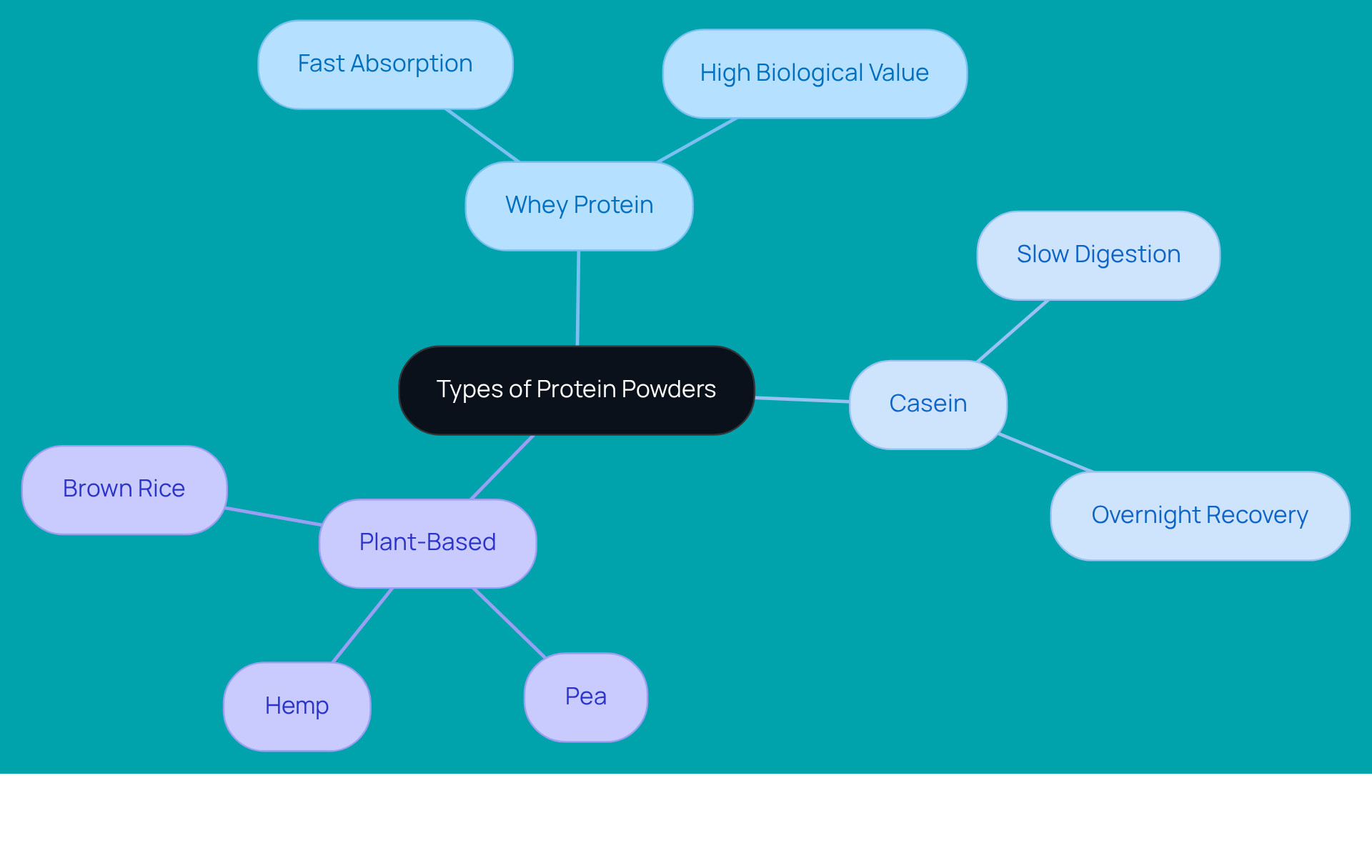 Start at the center with the main topic of protein powders, then explore each type and its advantages. The branches help you see how different options cater to various dietary needs and fitness goals.