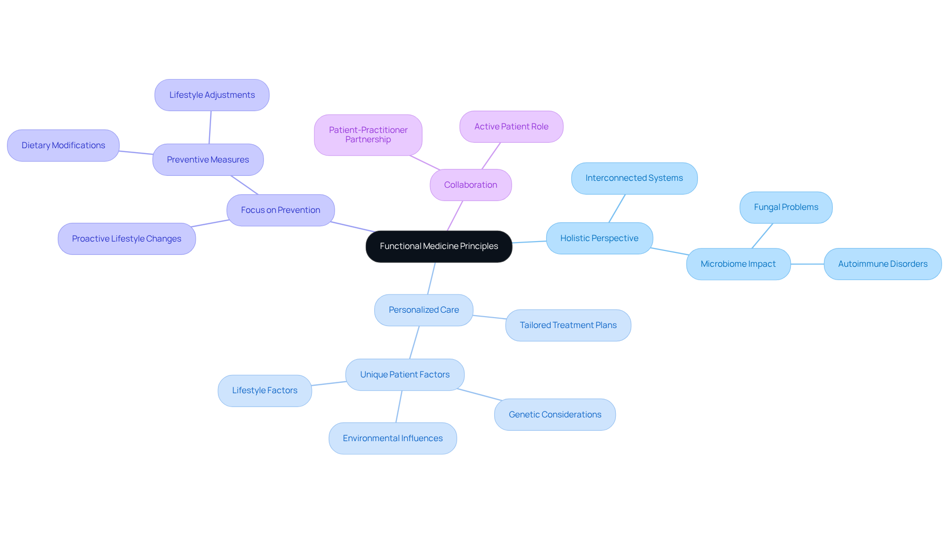 The center represents the main concept of functional medicine, while the branches illustrate the core principles that contribute to a holistic approach to health. Each branch can be explored for deeper insights into how these principles work together. The center represents the main concept of functional medicine, while the branches illustrate the core principles that contribute to a holistic approach to health. Each branch can be explored for deeper insights into how these principles work together.
