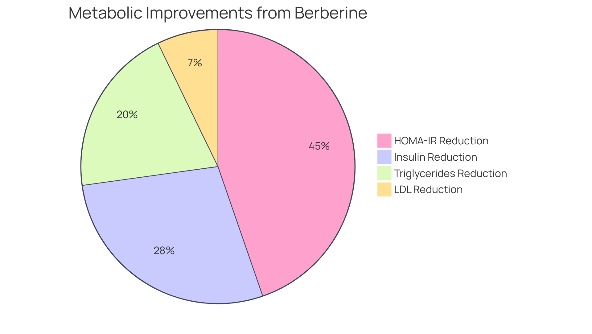 Each slice of the pie shows how much berberine helps improve different aspects of metabolic health. The bigger the slice, the more significant the improvement in that area. This helps you see how berberine can support your weight management journey. Each slice of the pie shows how much berberine helps improve different aspects of metabolic health. The bigger the slice, the more significant the improvement in that area. This helps you see how berberine can support your weight management journey.