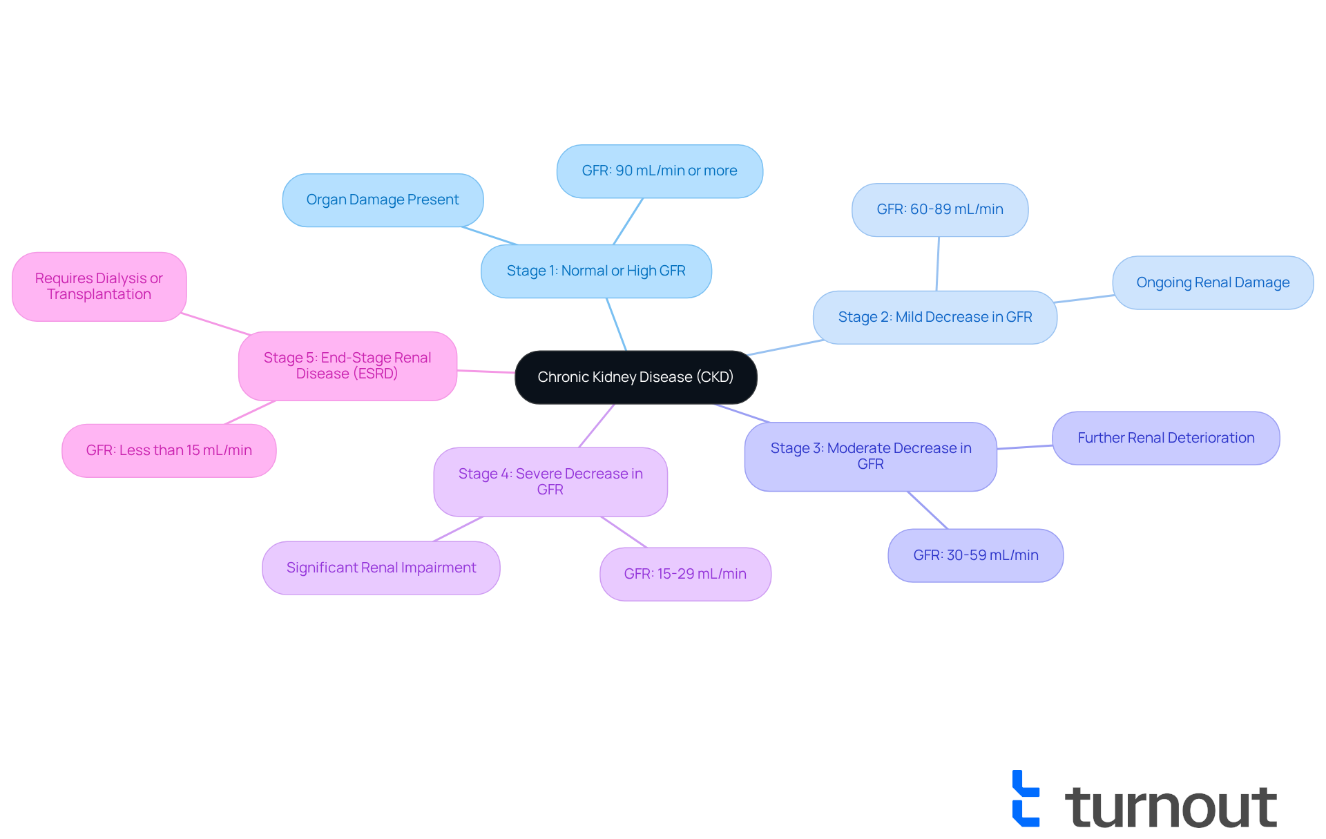 The central node represents CKD, while each branch shows a stage of the disease. The further you go out from the center, the more specific the information becomes, helping you understand the severity and implications of each stage.