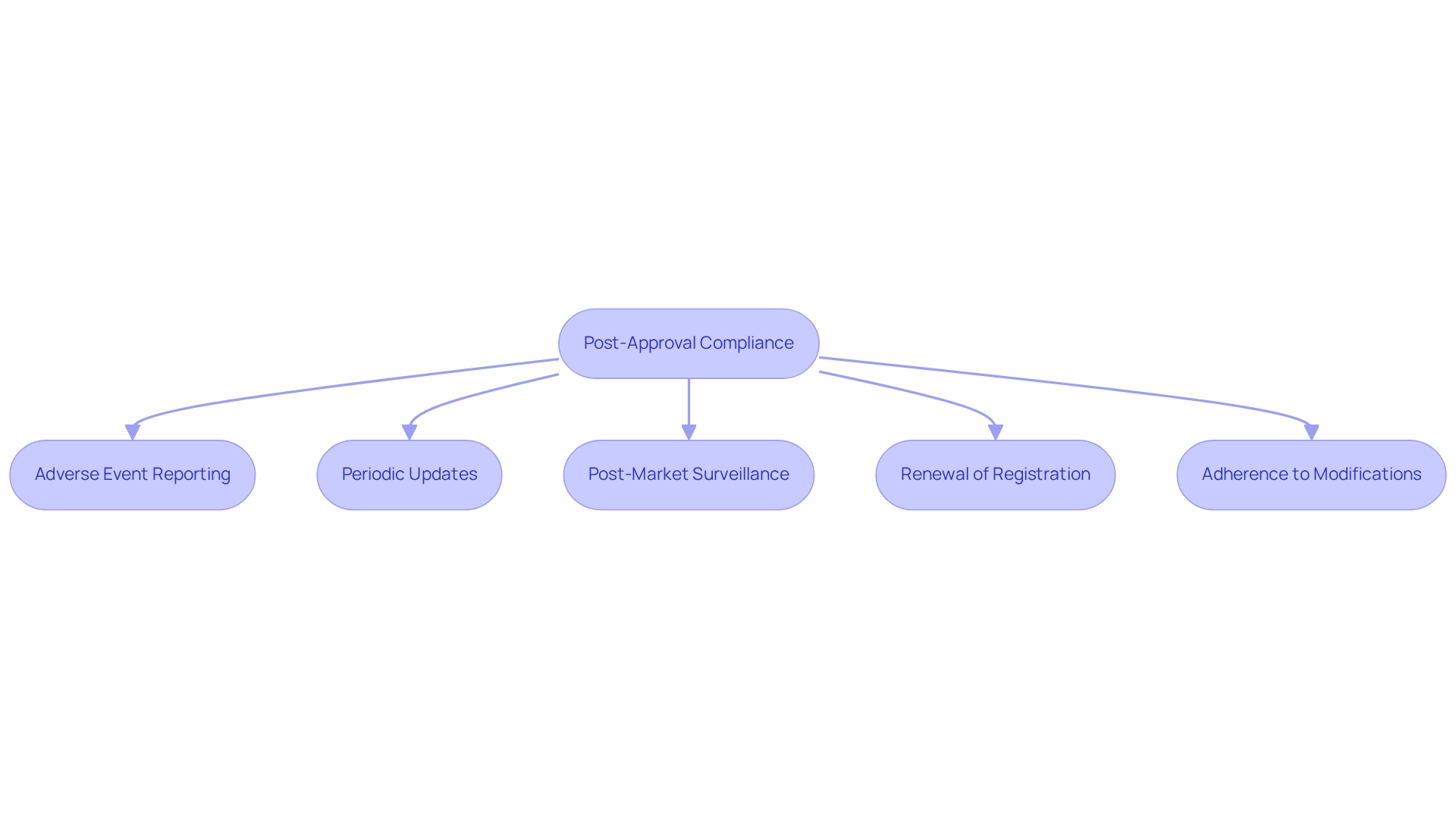 This flowchart outlines the essential steps manufacturers must take after regulatory approval to ensure compliance. Follow the arrows from the top to see each requirement and how they connect. This flowchart outlines the essential steps manufacturers must take after regulatory approval to ensure compliance. Follow the arrows from the top to see each requirement and how they connect.