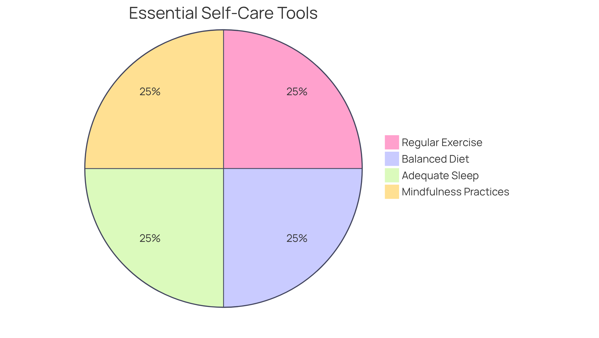 Each slice of the pie represents a key self-care tool. The bigger the slice, the more important that tool is for your healing journey. This chart helps you see how different practices contribute to your overall well-being.