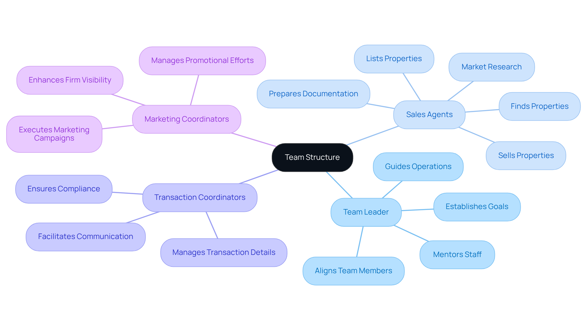 At the center, you'll find the overall team structure. Each branch represents a key role within the team, and the sub-branches explain what each role does. This helps you see how everyone fits together and contributes to the team's success.