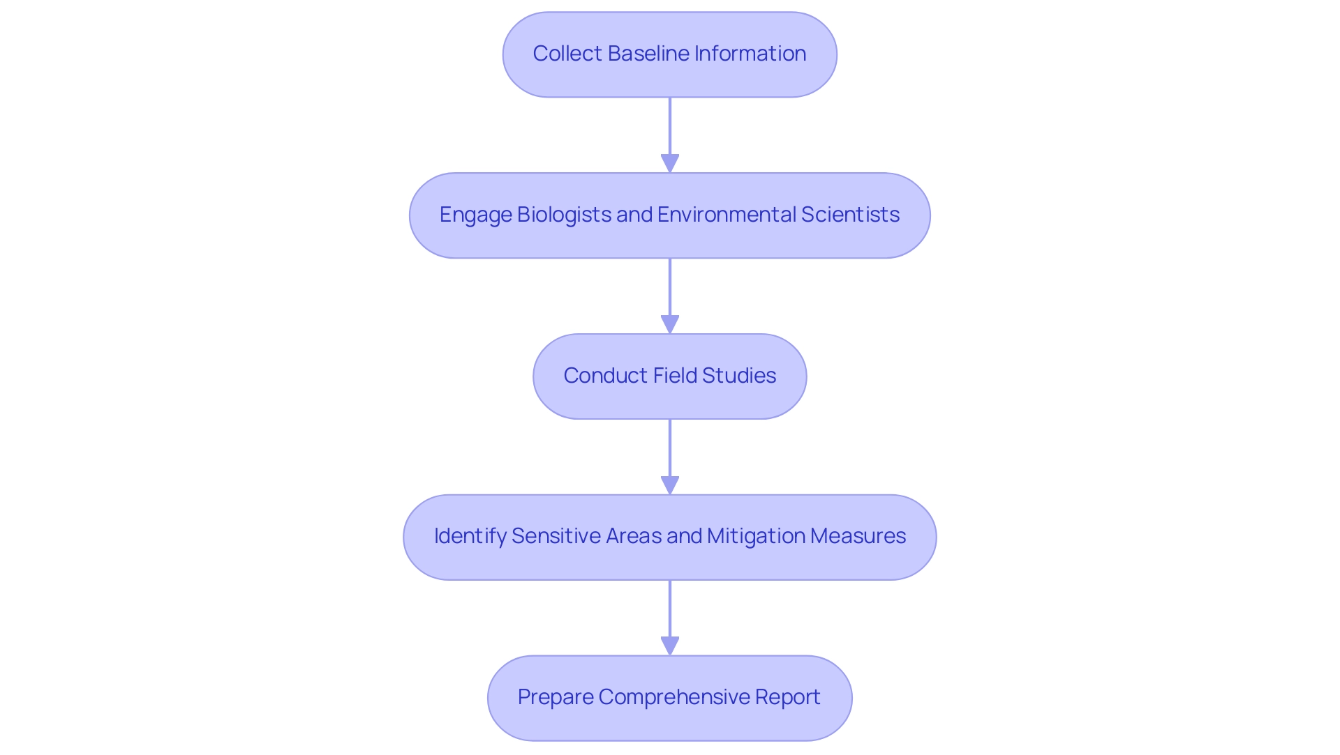 Each box represents a stage in the EIA process, and the arrows indicate the sequential flow from one stage to the next.