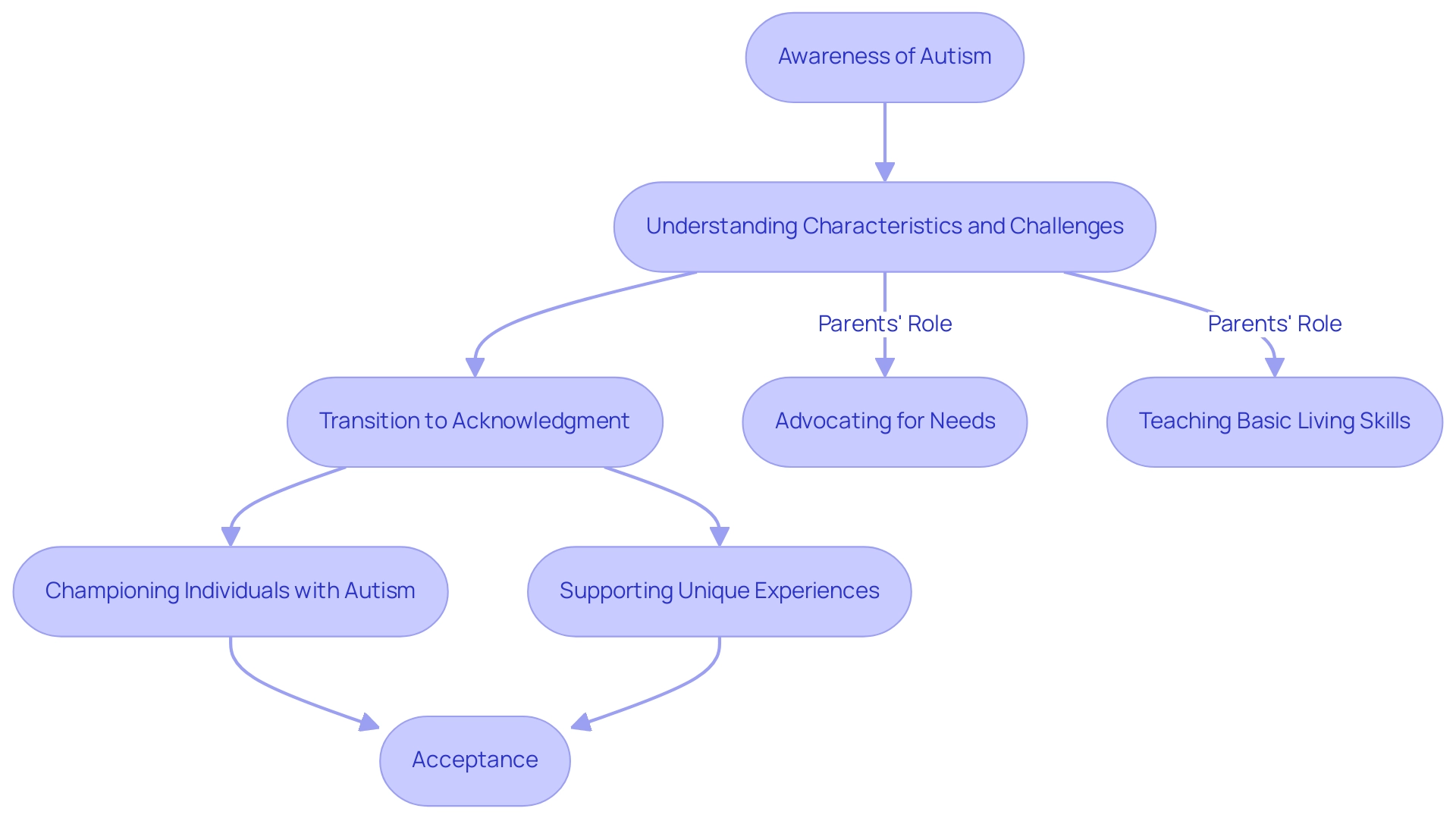 Each box represents a step in the journey, with arrows indicating the progression from awareness to acceptance, and side boxes highlighting parental roles.