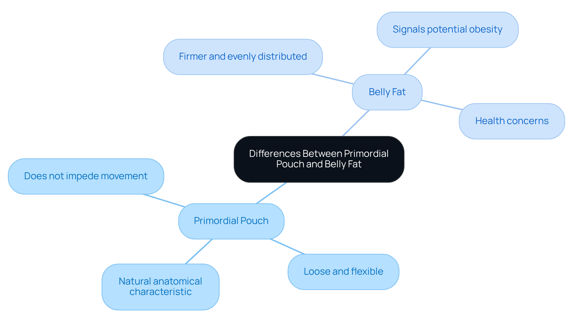 Understanding the Primordial Pouch Cat: Definition and Purpose | Jet ...