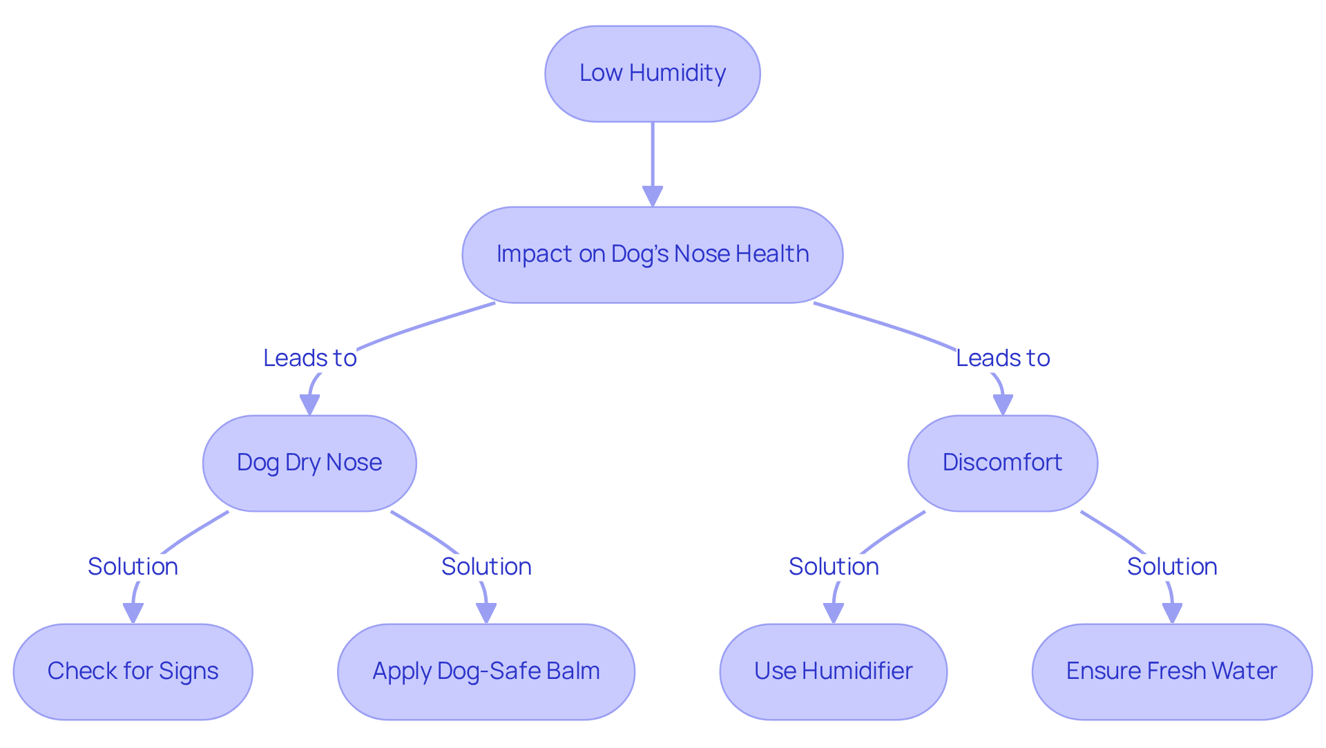 Follow the arrows to see how low humidity affects your dog's nose health, leading to discomfort and dryness, and what you can do to help your furry friend feel better.