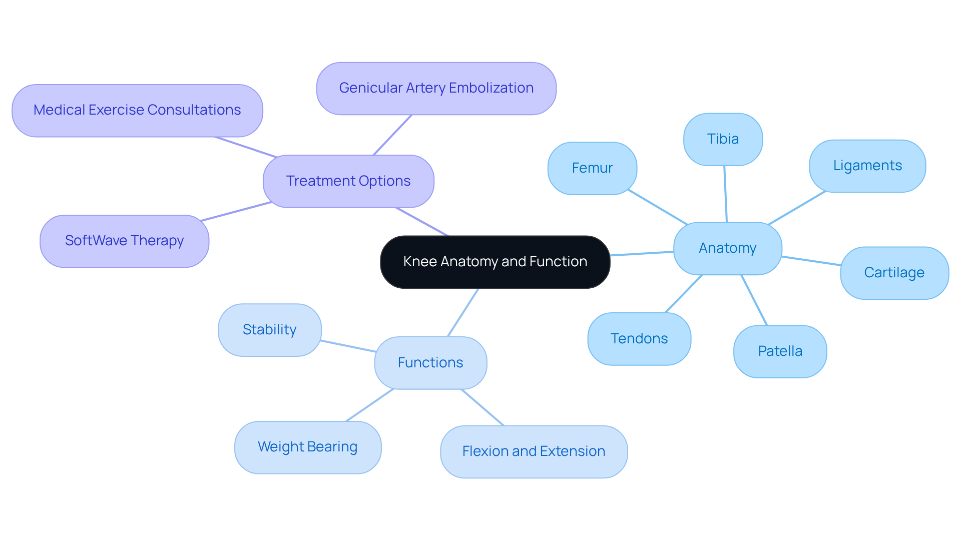This mindmap starts with the knee's anatomy at the center, branching out to show its key functions and available treatment options. Each branch represents a different aspect of the knee, helping you see how everything is connected and why understanding this joint is important for your health.