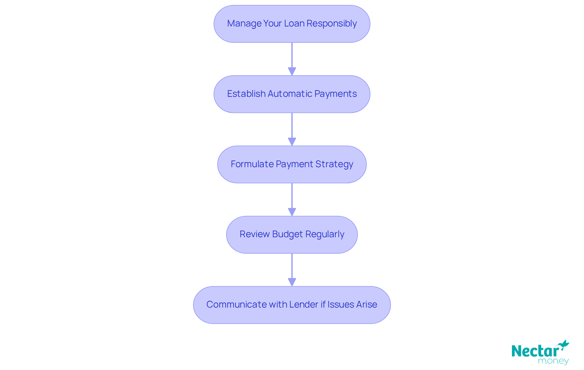 Each box represents a critical step in managing your loan effectively. Follow the arrows to see how each strategy builds upon the previous one, guiding you toward successful repayment.