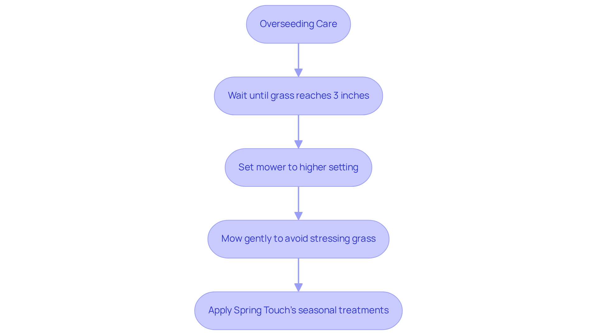 Follow the arrows to see the steps you should take after overseeding your lawn. Each box represents an important action to help your new grass thrive.
