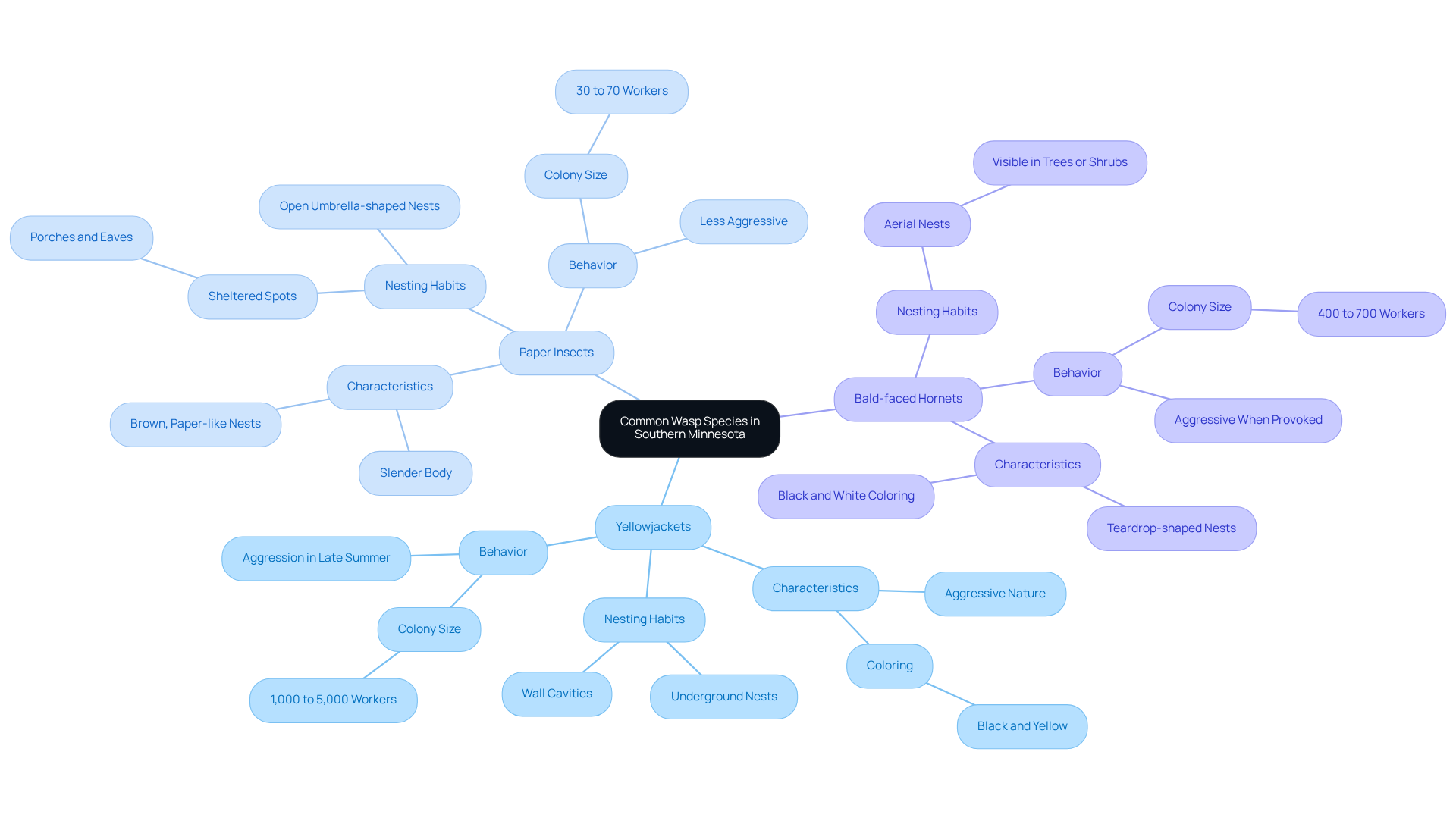 The center shows the main topic of wasp species, and each branch leads to specific types of wasps with their unique traits. Follow the branches to learn about each species and how they behave.
