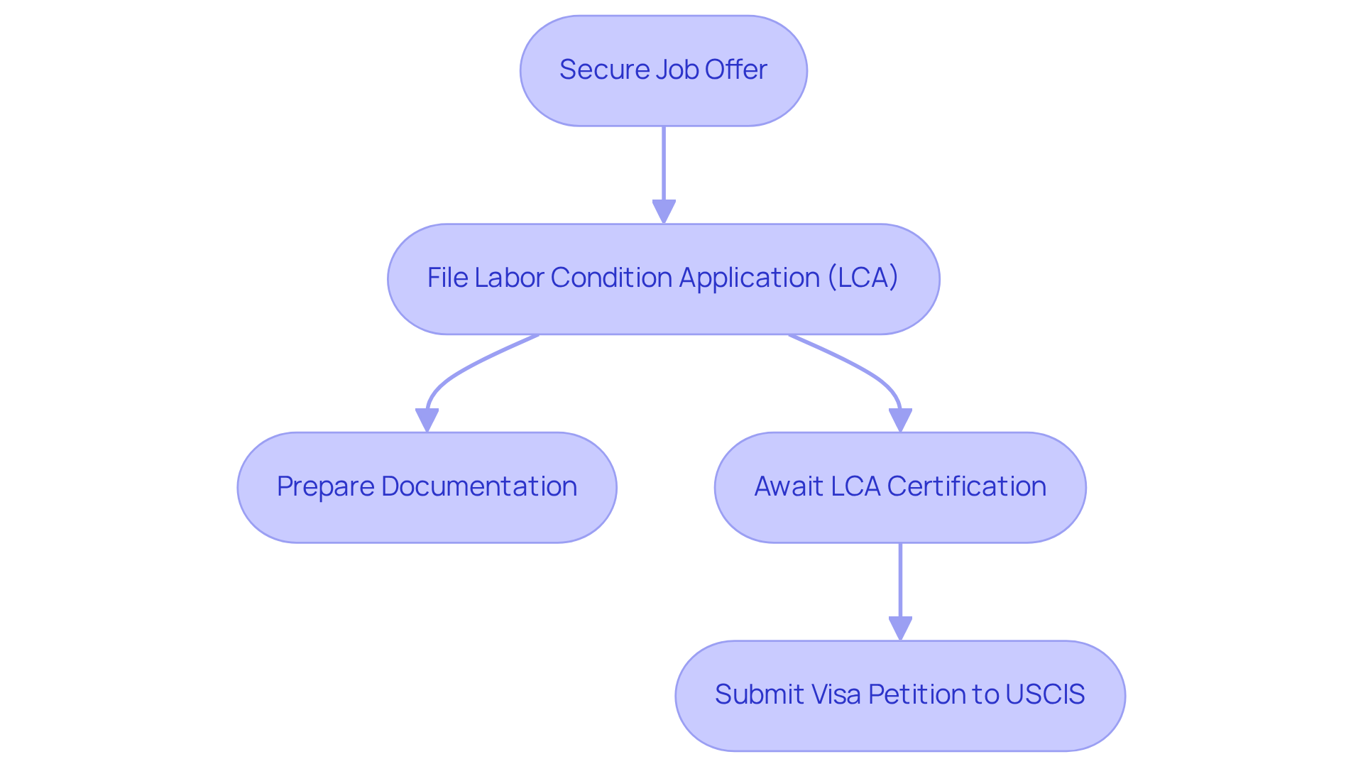 Each box represents a step in the visa registration process. Follow the arrows from one step to the next to see how to navigate the application successfully.