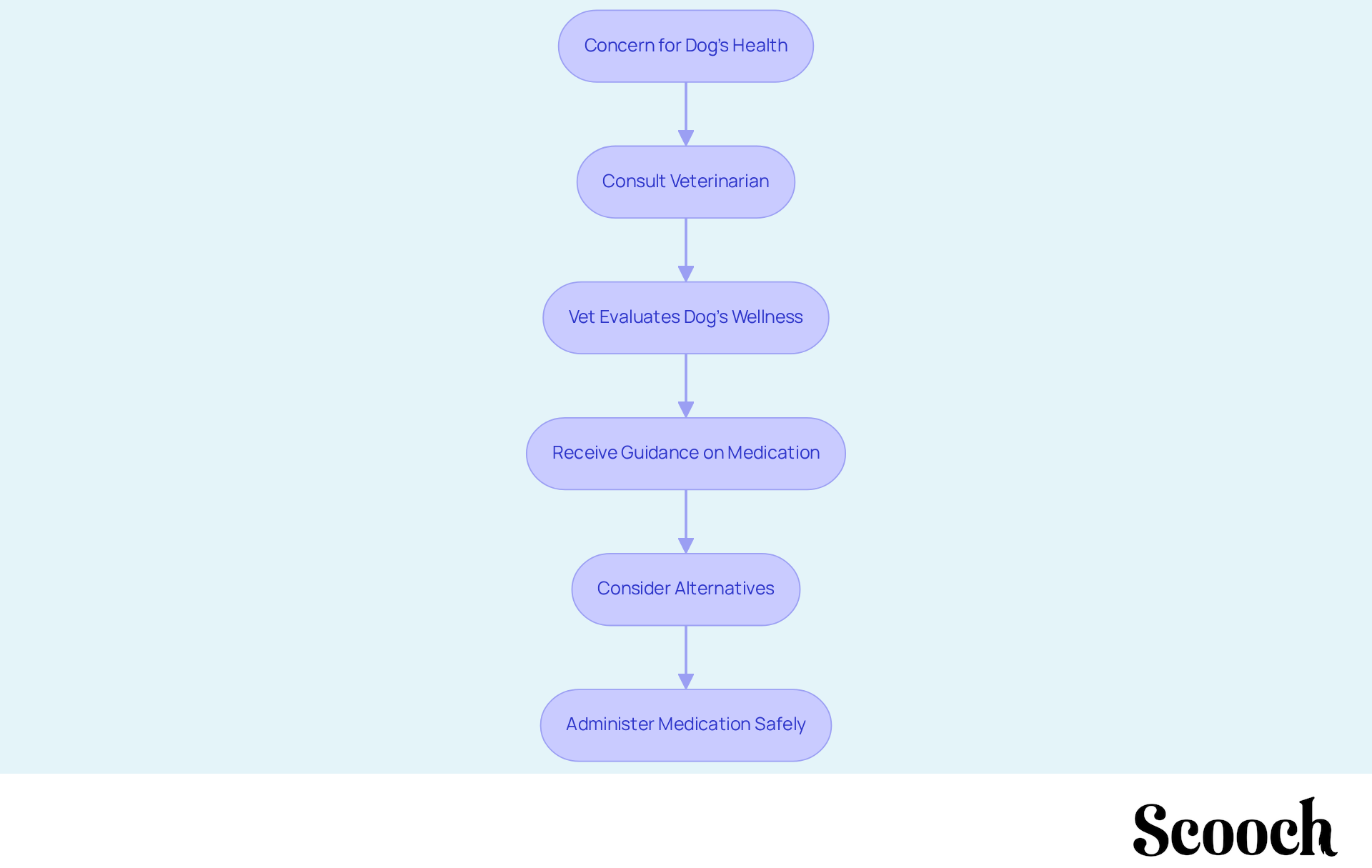 Follow the arrows to see the steps to take when your dog needs medication. Each box represents an important action that helps ensure your furry friend's safety. Follow the arrows to see the steps to take when your dog needs medication. Each box represents an important action that helps ensure your furry friend's safety.