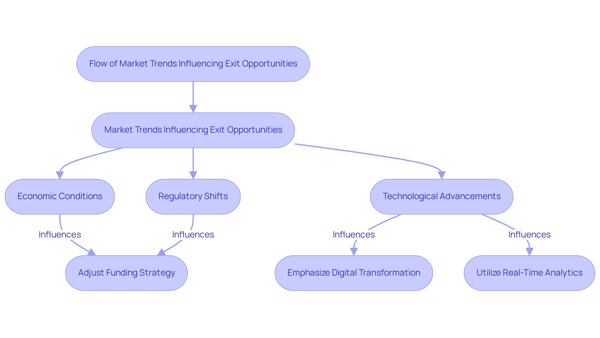 Each box represents a market trend or strategic action, and arrows indicate the sequence and flow of influence in adapting to exit opportunities.