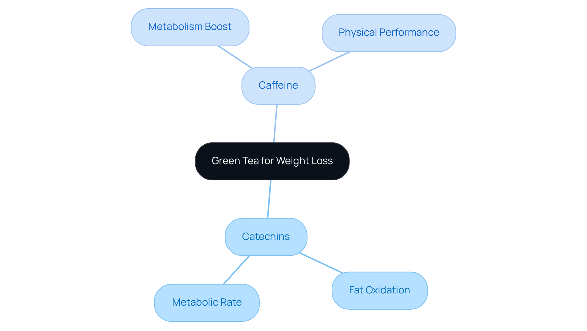 The center node shows the main topic of green tea for weight loss. Branches illustrate key ingredients, and sub-branches explain their specific benefits. This helps visualize how each part contributes to the overall effect.